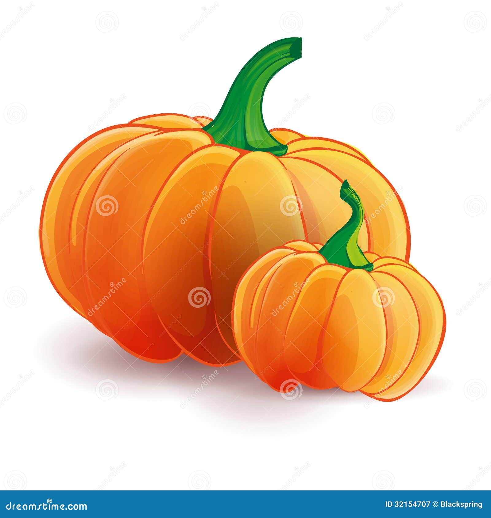 Two pumpkins stock vector. Illustration of food, seasonal - 32154707