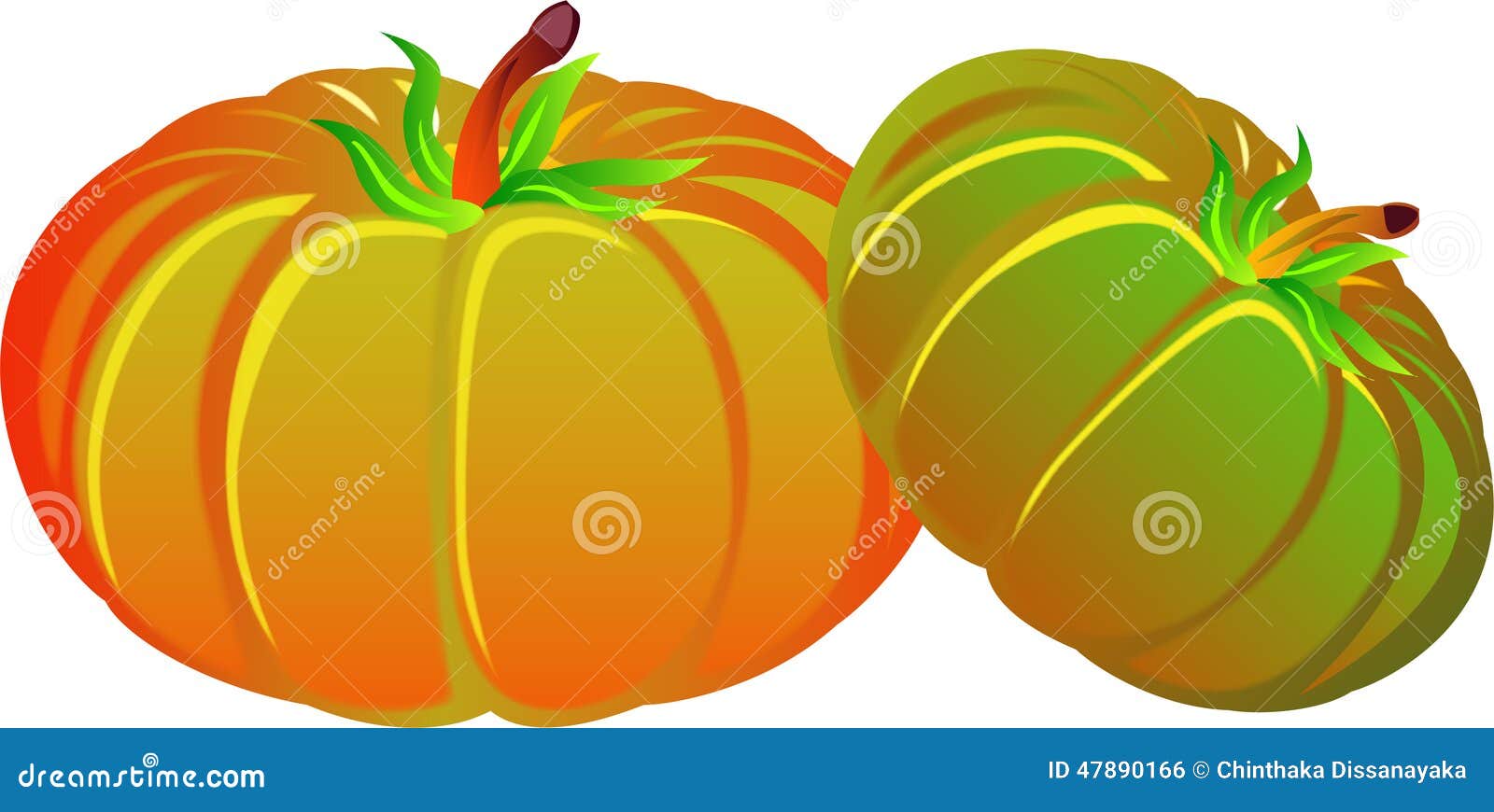 Two pumpkins stock illustration. Illustration of decorate - 47890166