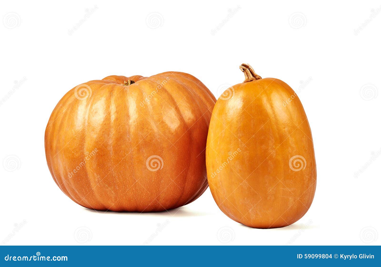 Two pumpkins stock photo. Image of vegetables, yield - 59099804