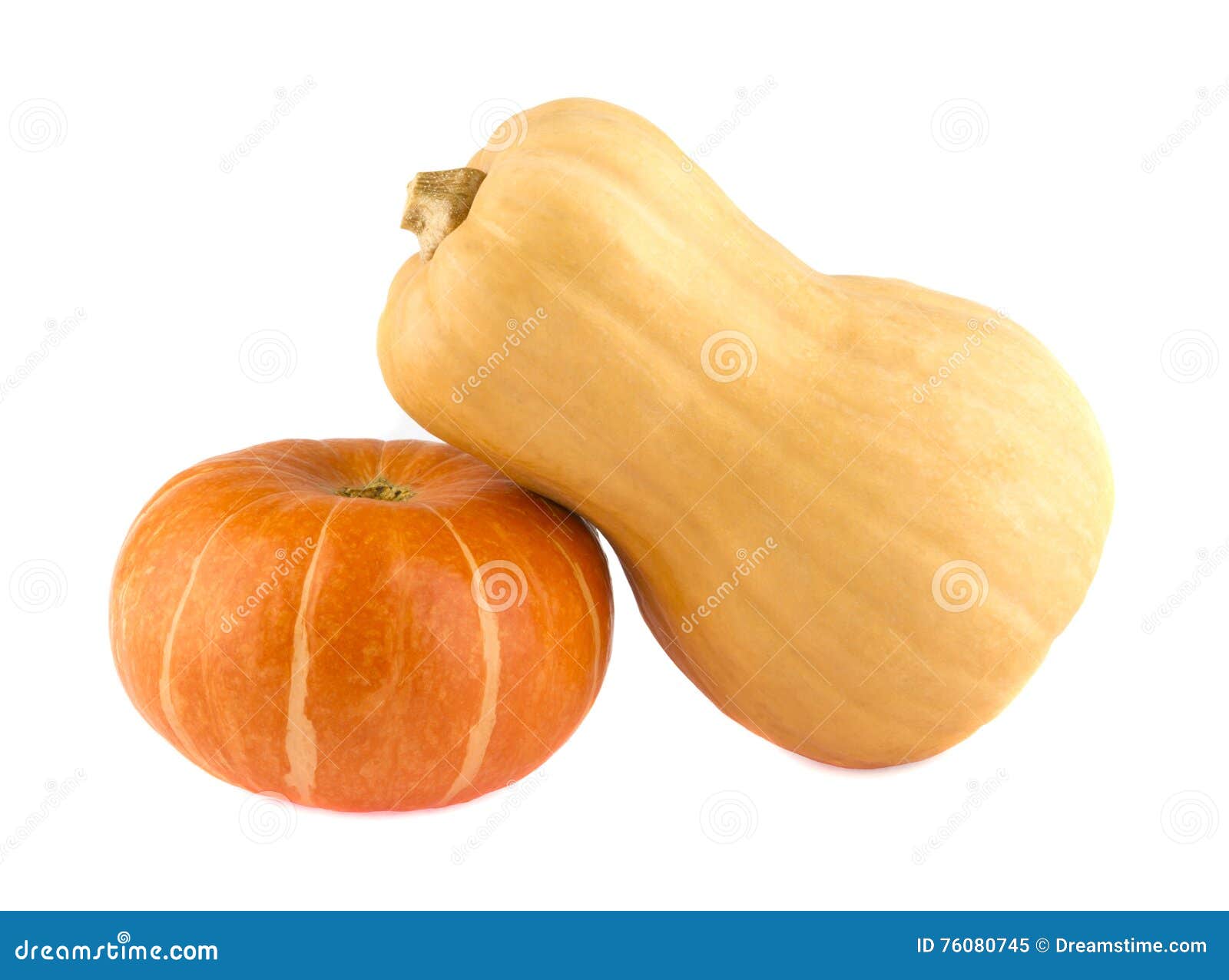 Two pumpkins stock image. Image of harvest, closeup, pumpkins - 76080745