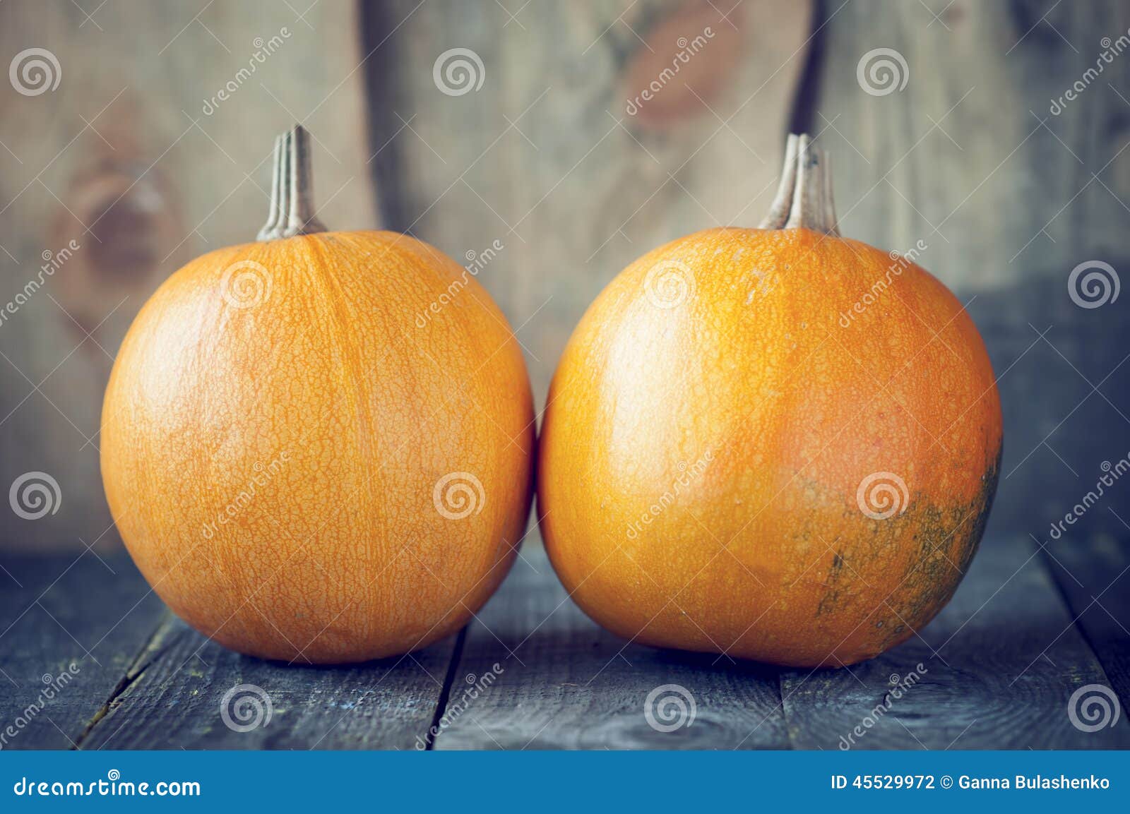 Two pumpkins stock photo. Image of cooking, agriculture - 45529972