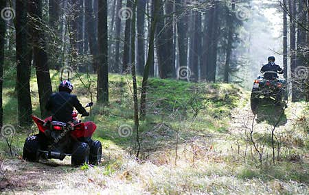 Two quads in forest (ATV) stock image. Image of racing - 4885671