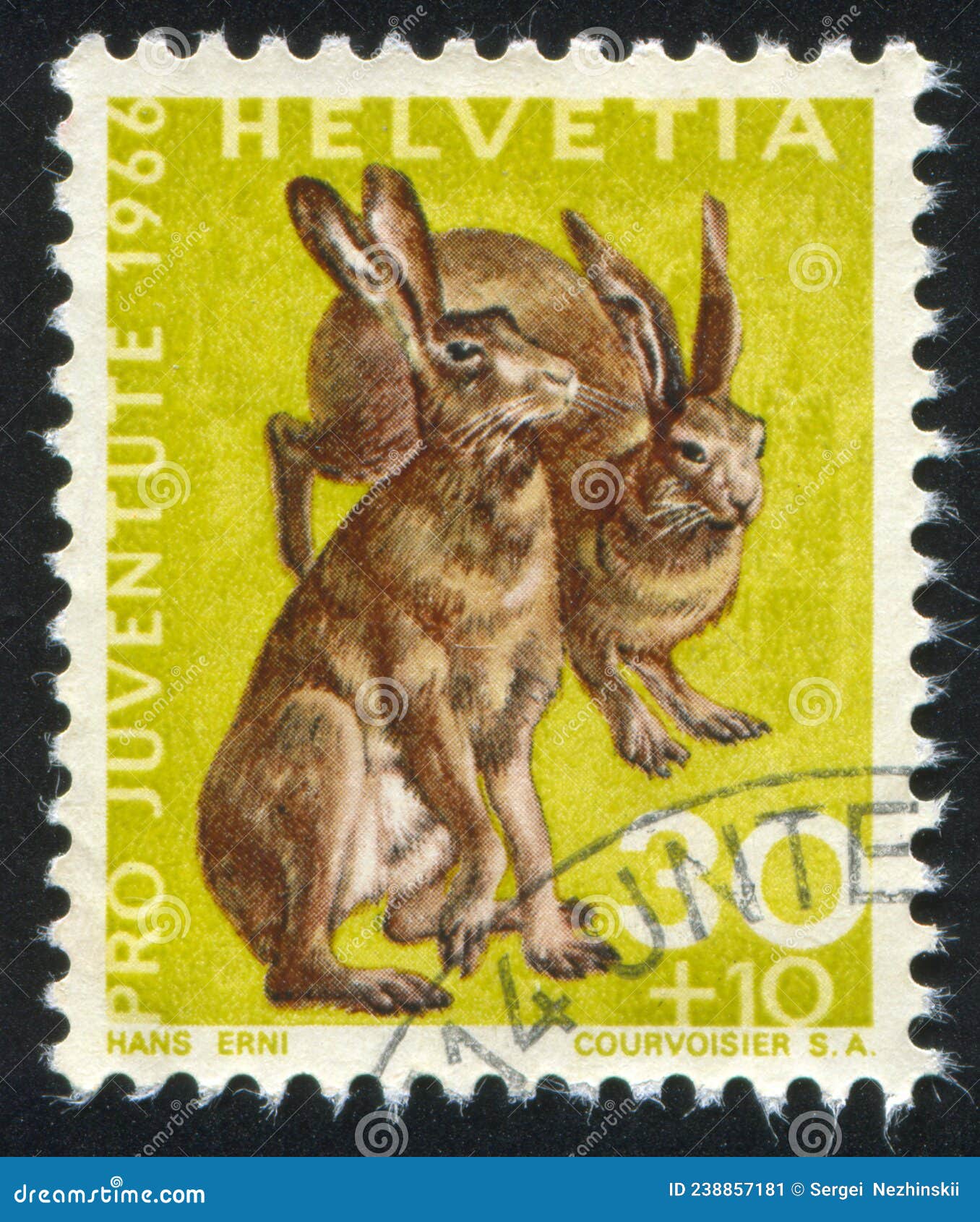 Two rabbit editorial photo. Image of historic, garden - 238857181