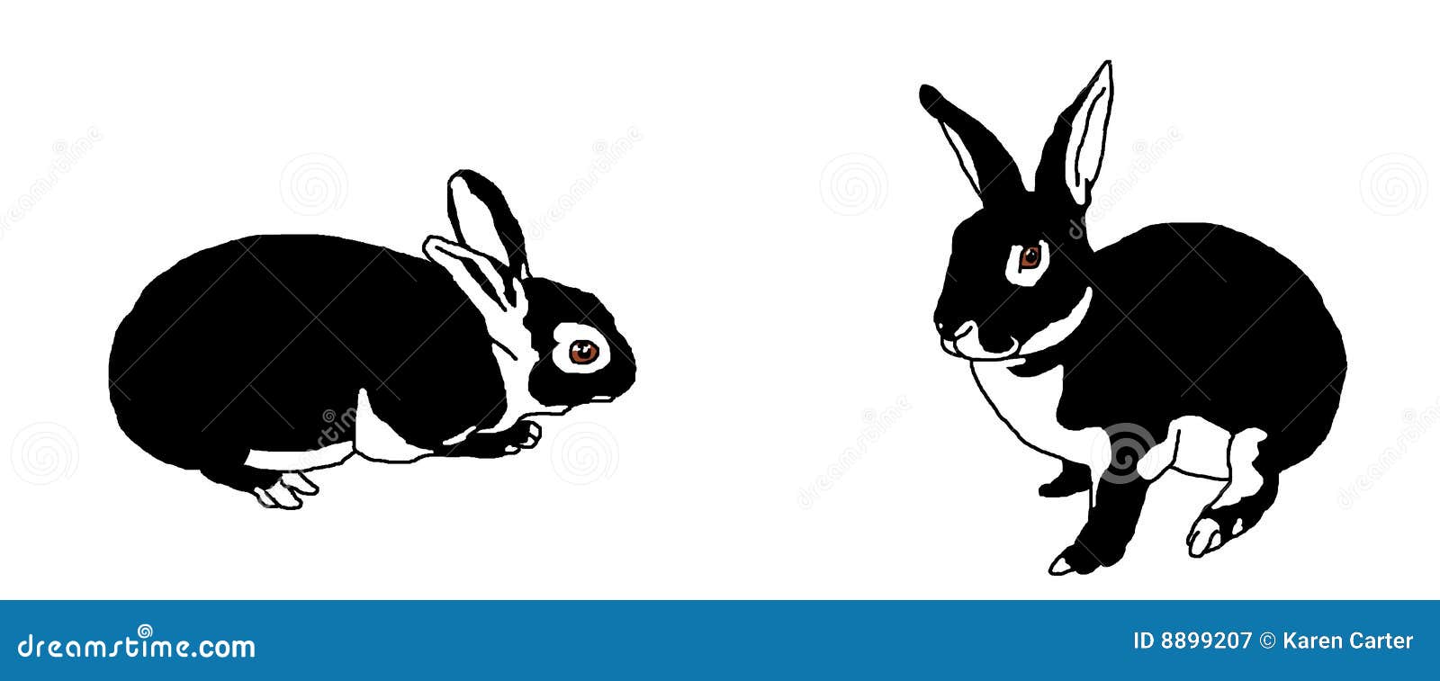 Two Rabbits stock illustration. Illustration of caricatures - 8899207