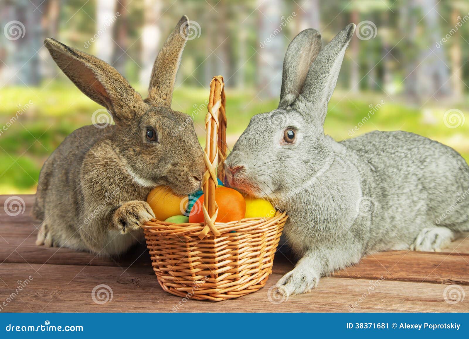 Two rabbits in a basket stock image. Image of decoration - 38371681