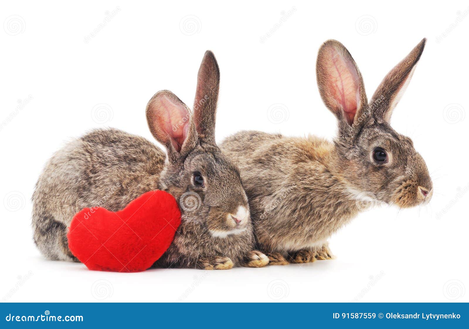 Two rabbits and heart. stock image. Image of friendship - 91587559