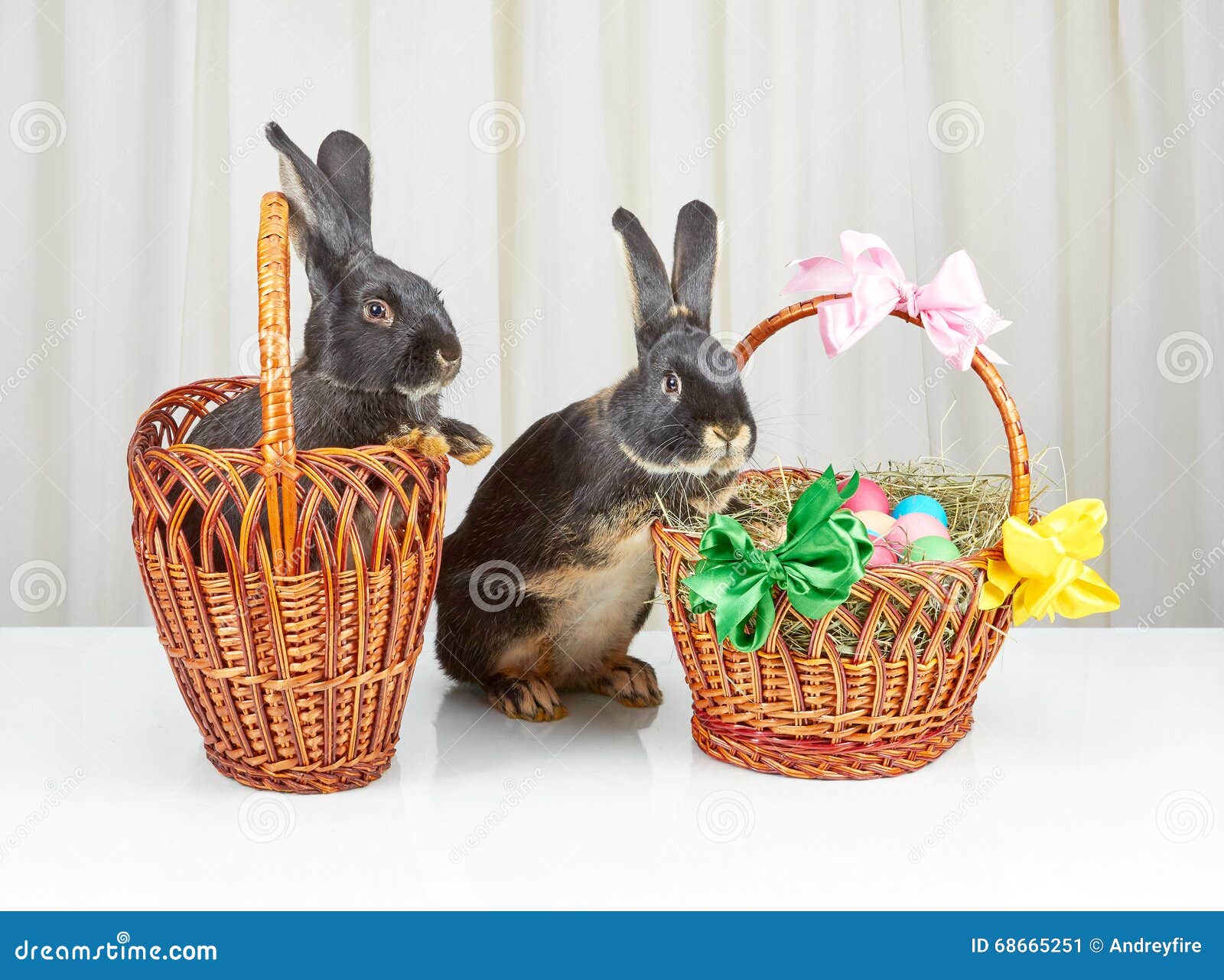 Two Rabbits and Two Beautiful Basket on a White Background Stock Image ...