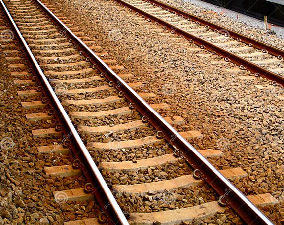 Two Railroad Tracks stock image. Image of pilings, country - 622541