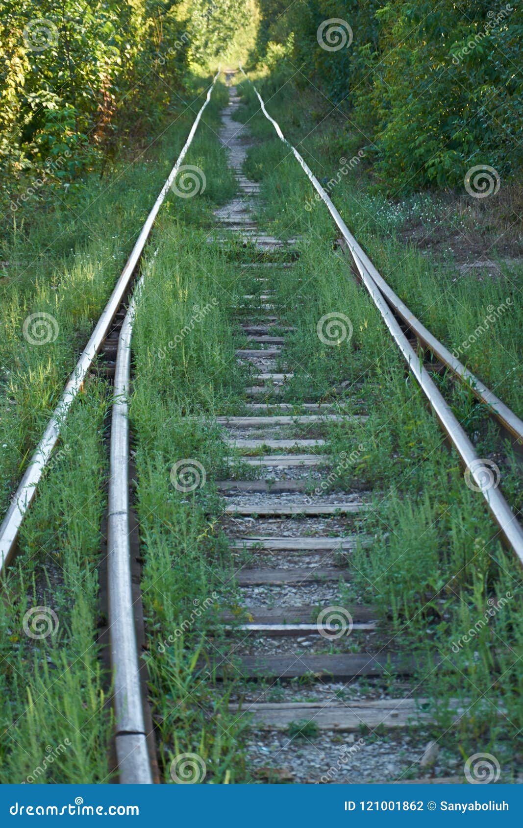 Two Rails are Included in the Same Rails. Like a Different Idea, Come ...