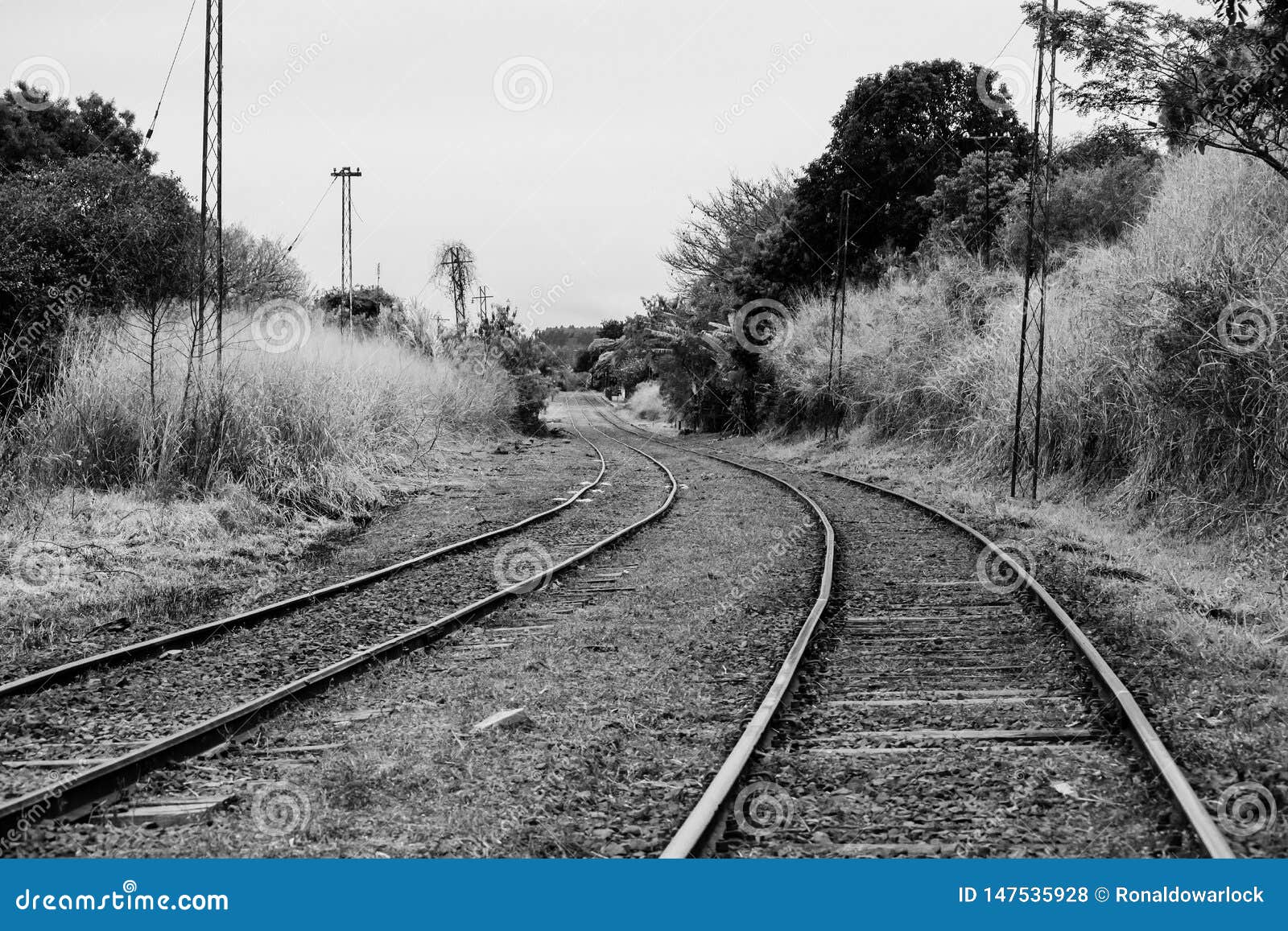 Two railway lines stock photo. Image of sheets, main - 147535928