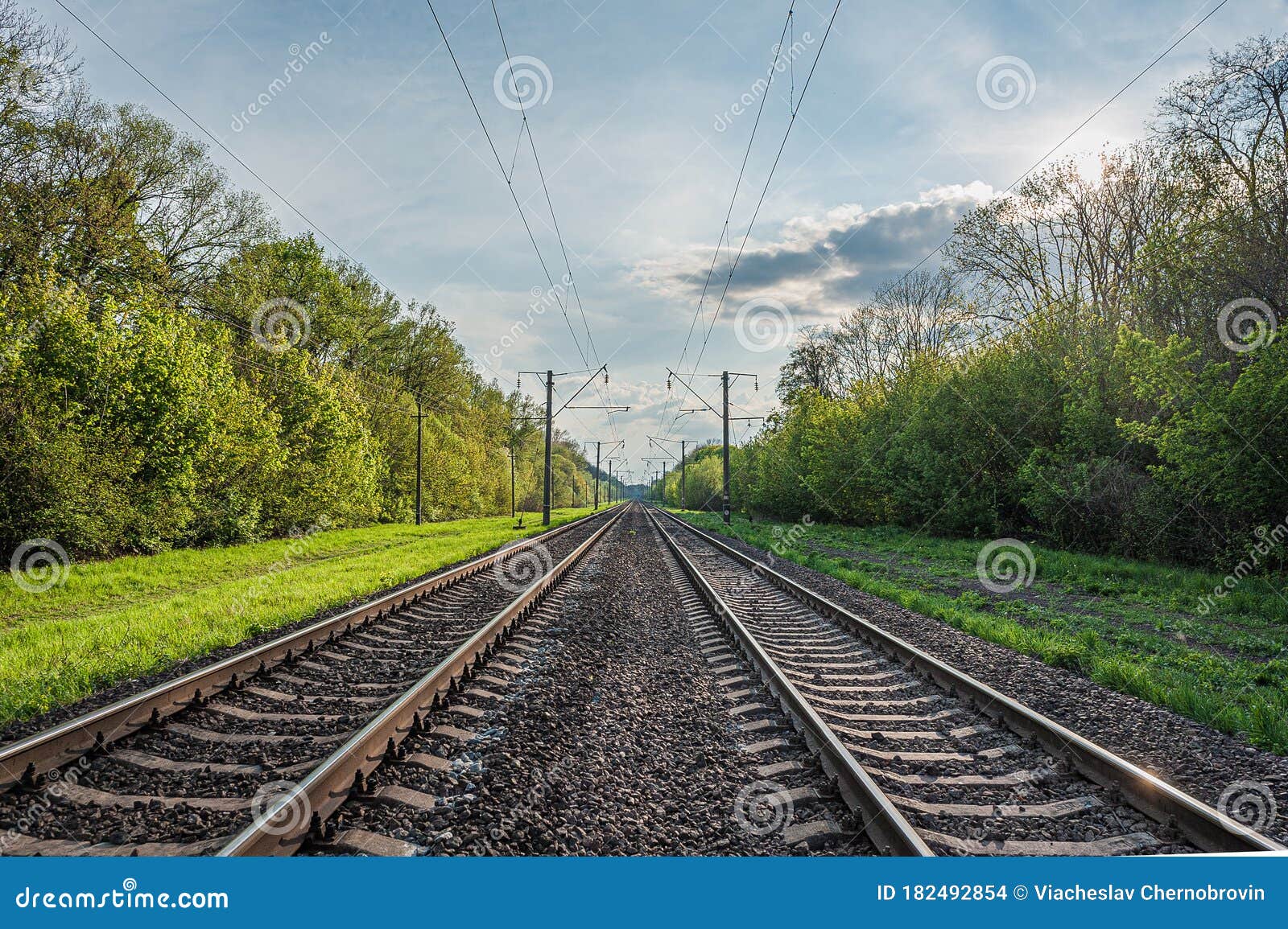 Two Railway Tracks Go into Green Forest Stock Photo - Image of speed ...