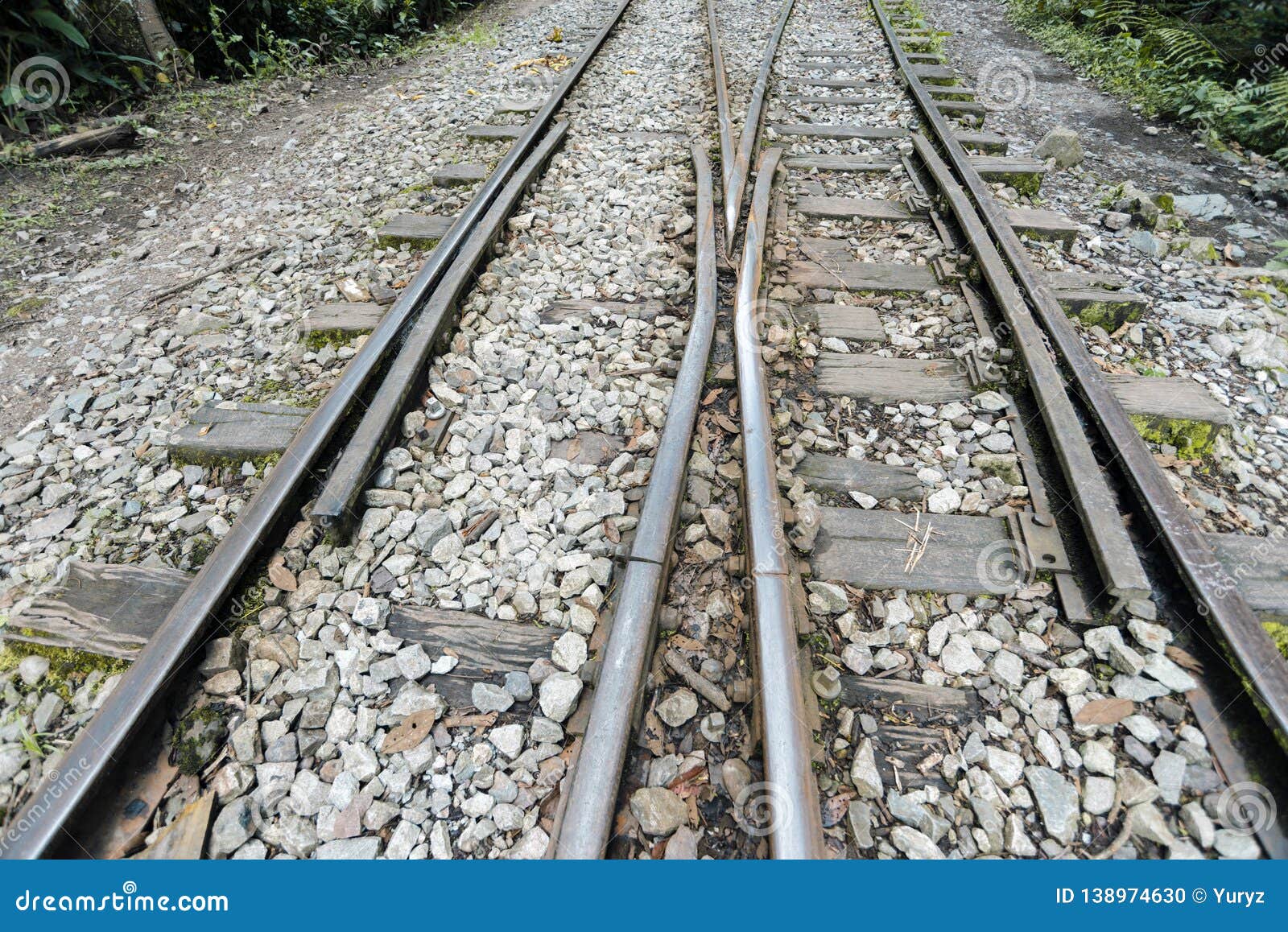 Two railway tracks stock photo. Image of forest, tracks - 138974630
