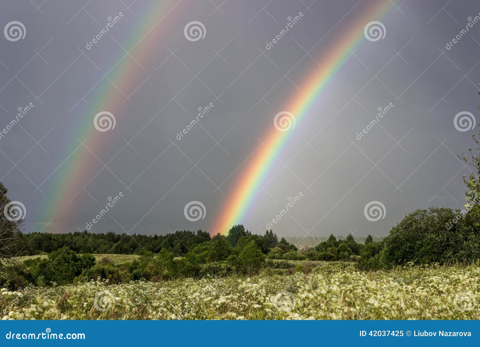 Two Rainbows Over the Field Stock Image - Image of agriculture, cloud ...