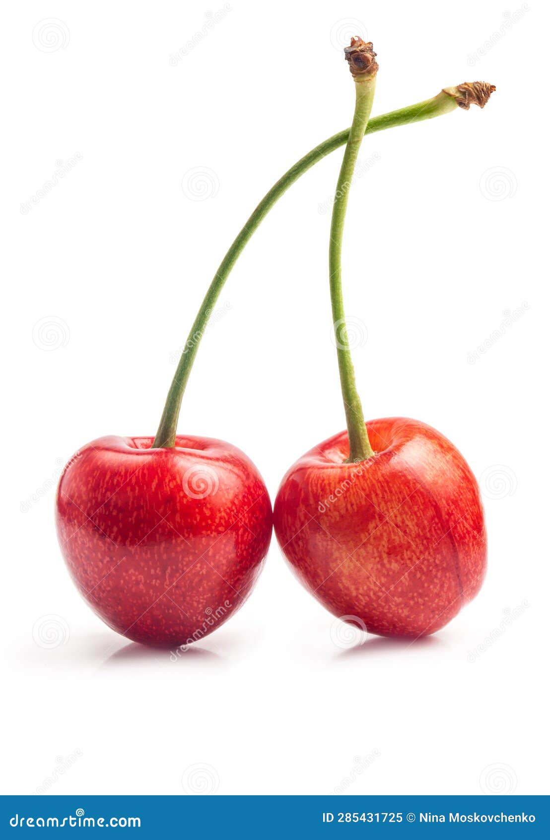 Two Rainier cherries stock image. Image of juicy, group - 285431725