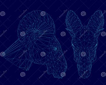 Two Ram Head Wireframe. Front and Side View. Polygonal Ram Head of Blue ...