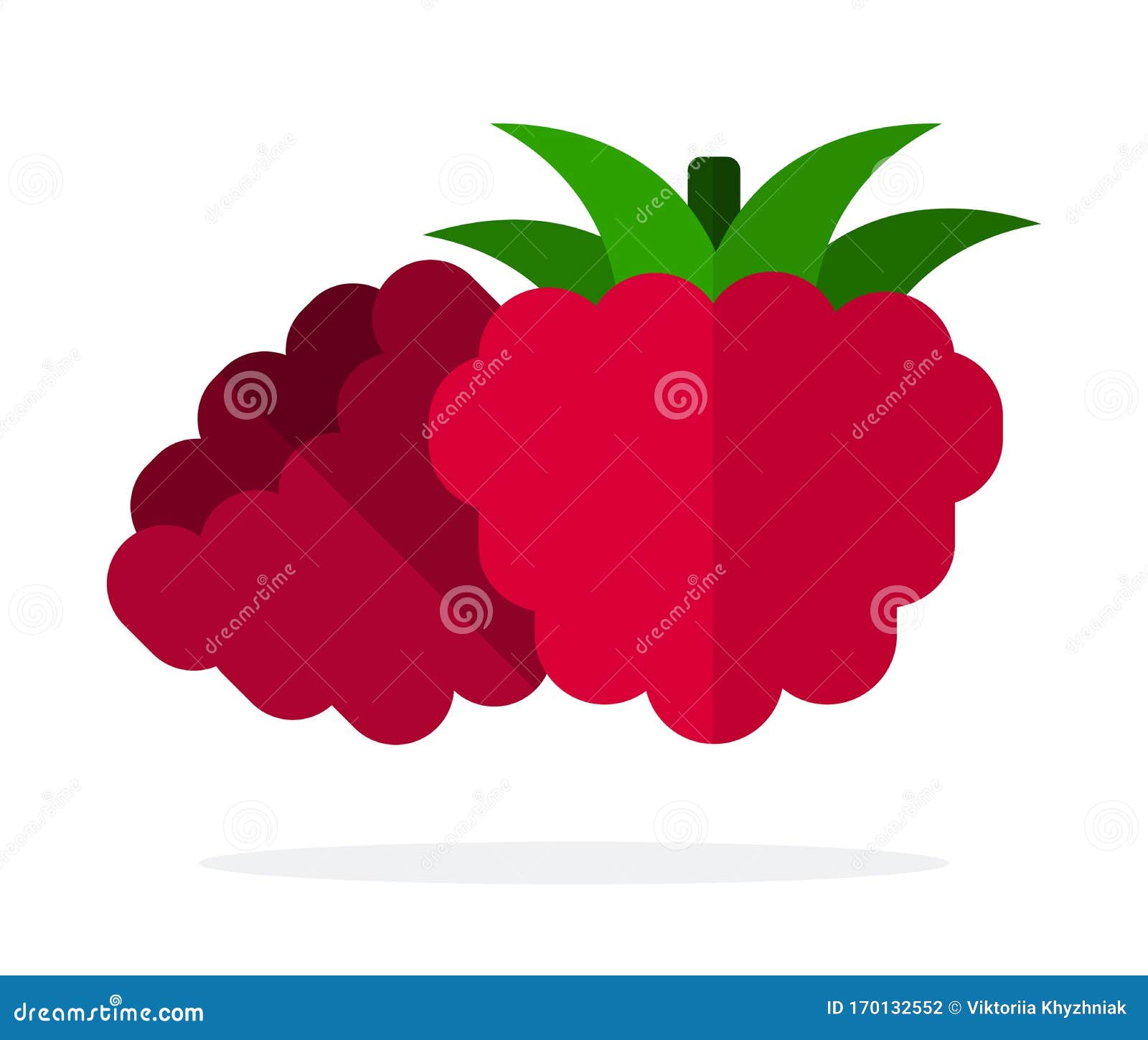 Two Raspberry Berries Vector Flat Isolated Stock Vector - Illustration ...