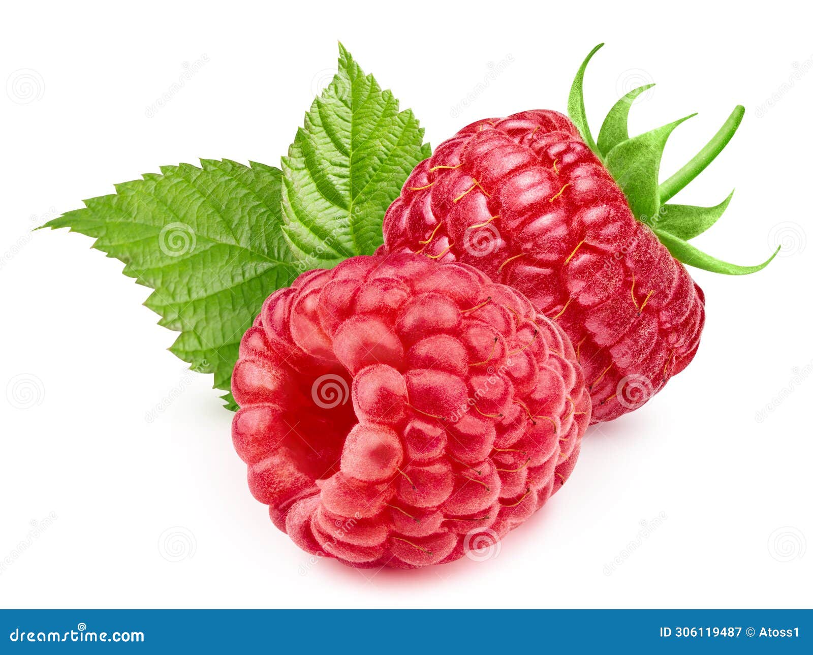 Two Raspberry with Leaves Isolated on White Background Stock Image ...