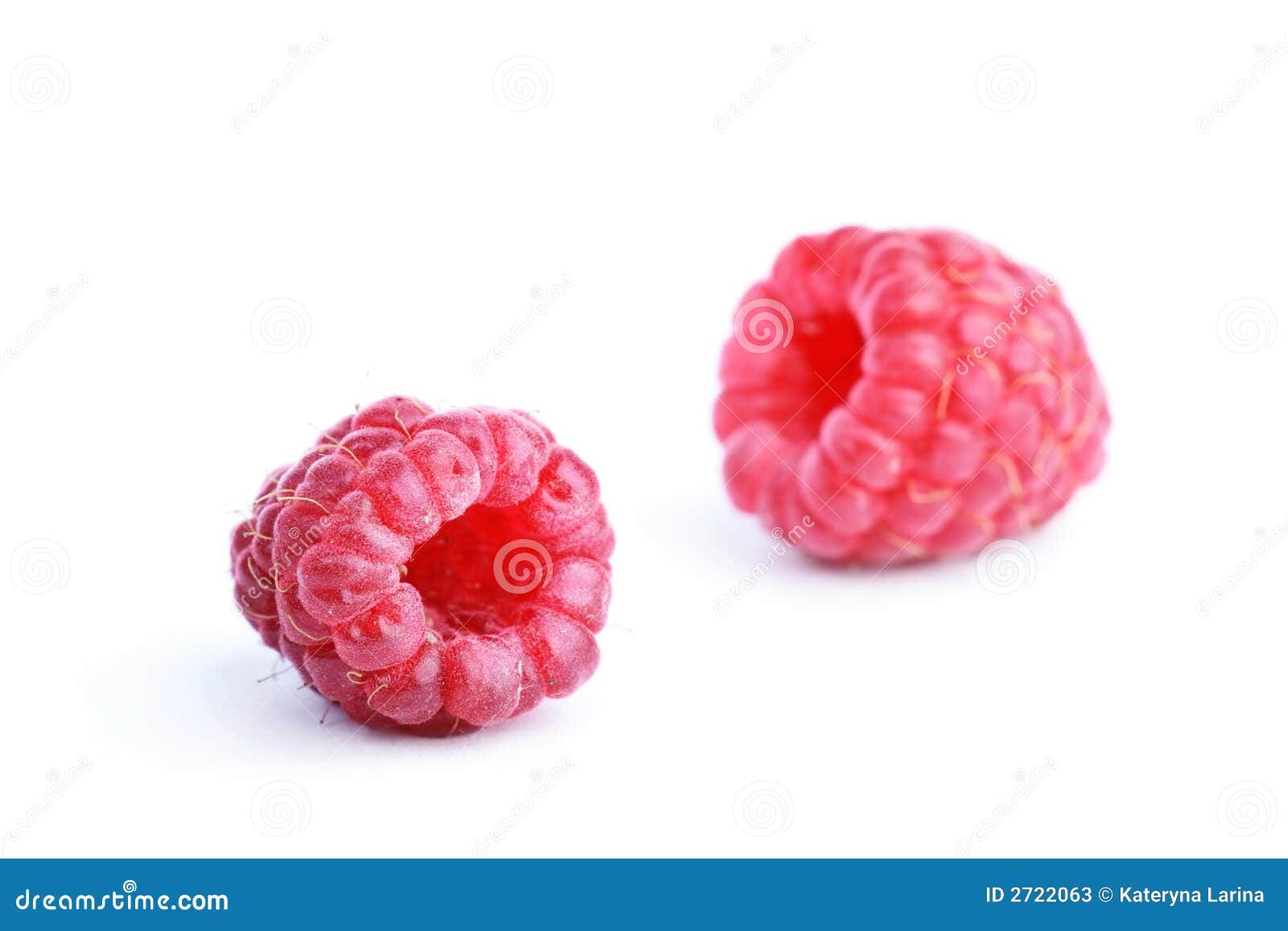 Two raspberrys stock image. Image of organic, dessert - 2722063