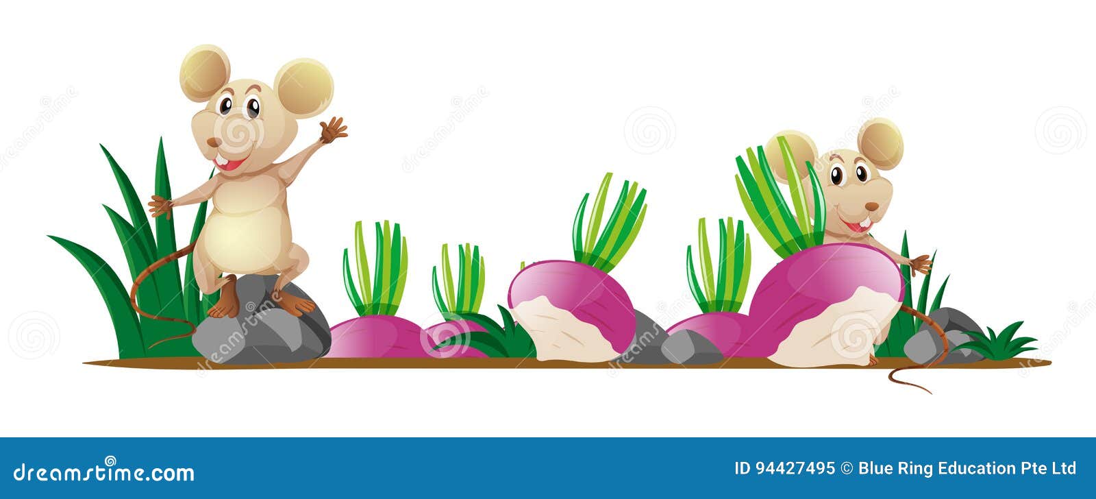 Two Rats in Vegetable Garden Stock Vector - Illustration of garden ...