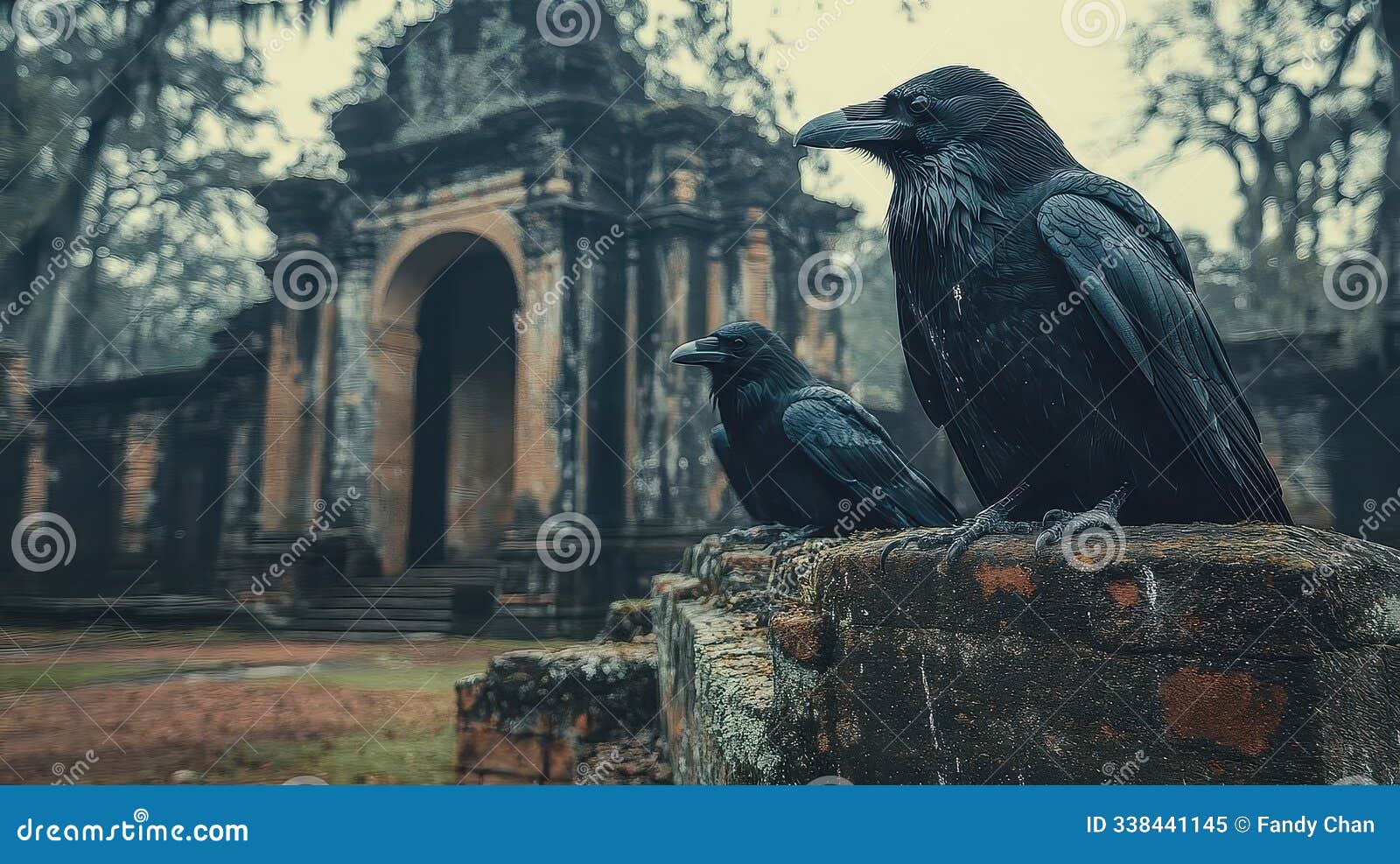 Two Ravens Perched on a Stone Wall with a Stone Arch in the Background ...