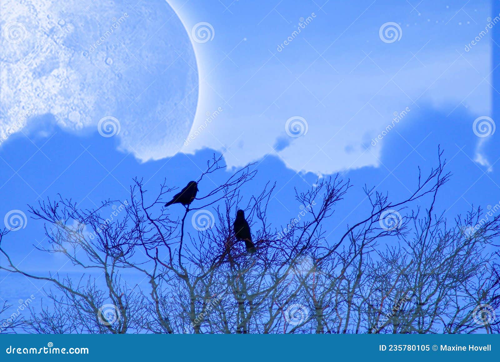 Two Ravens in a Tree Under a Moon Stock Image - Image of desktop, moon ...