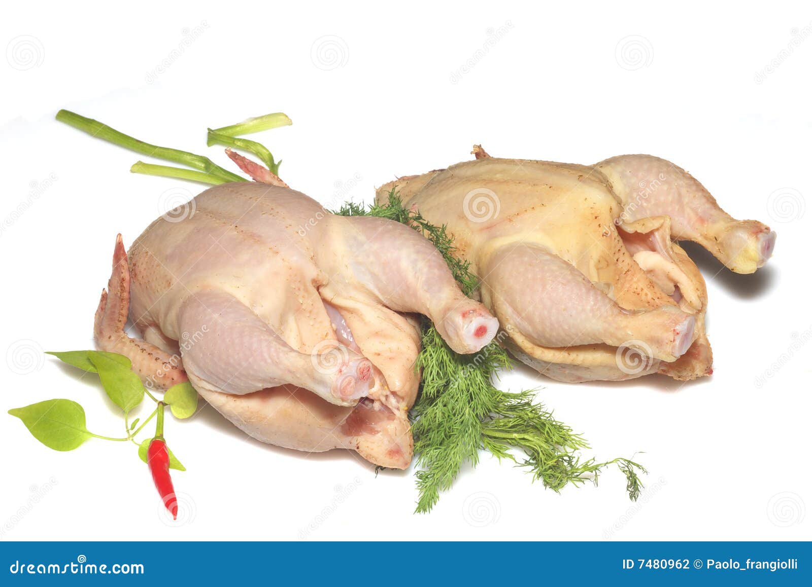 Two raw chickens isolated stock photo. Image of food, recipe - 7480962
