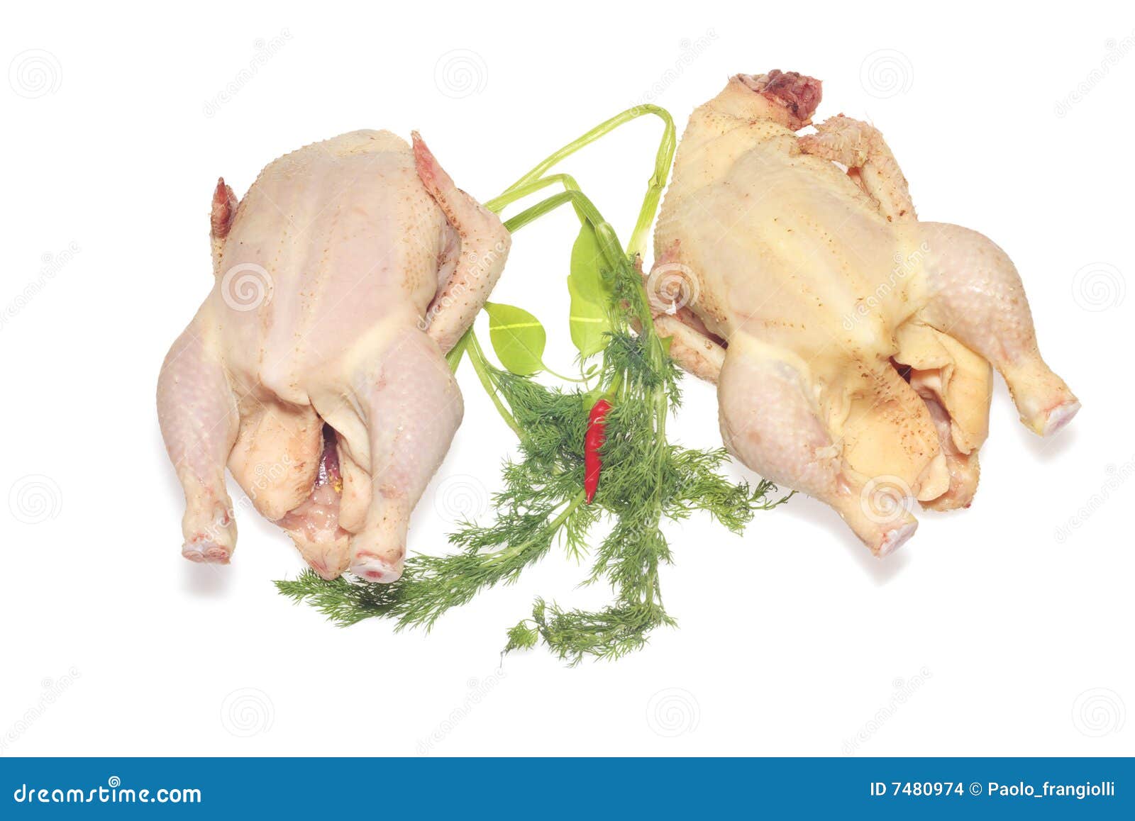 Two raw chickens isolated stock photo. Image of isolated - 7480974