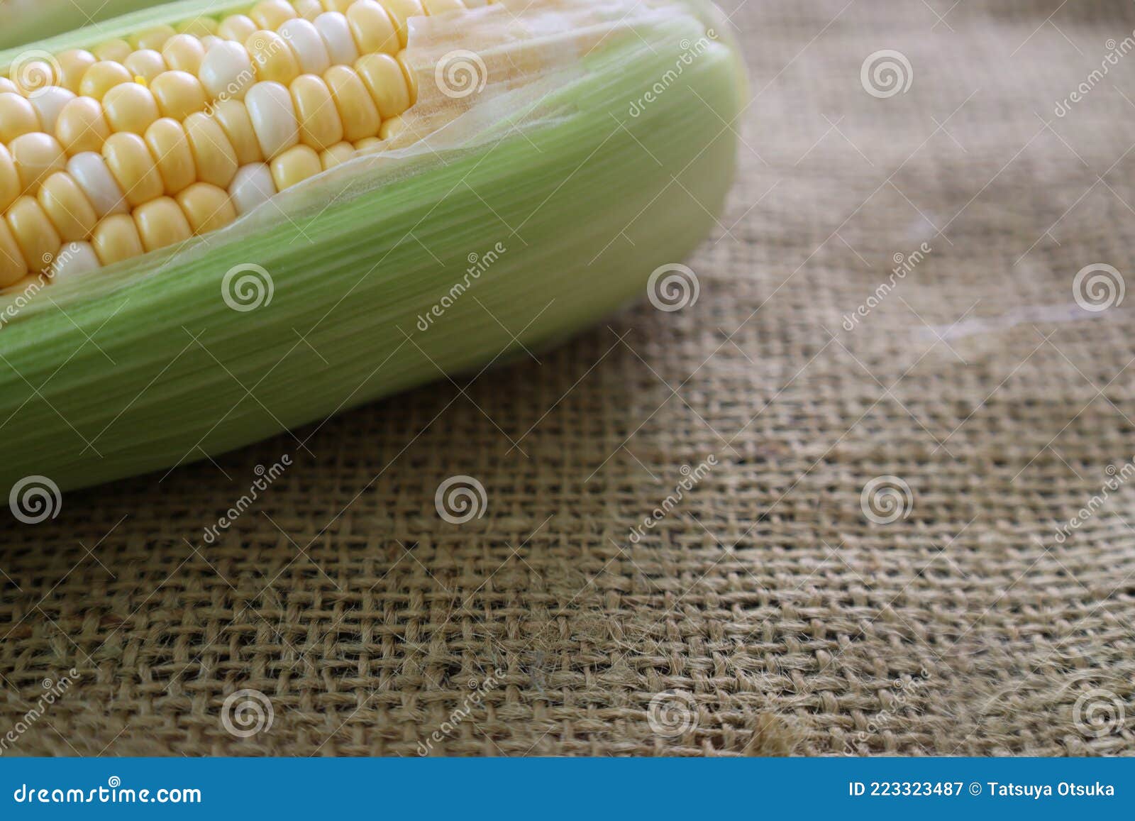 Two Raw Corns on the Hemp Cloth Stock Image - Image of vegetarian, corn ...