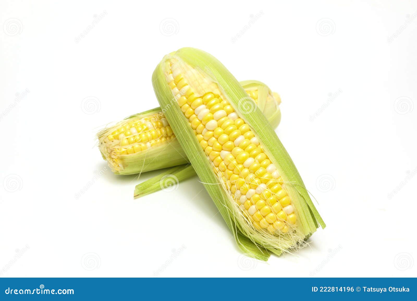 Two Raw Corns Isolated on a White Background Stock Photo - Image of ...