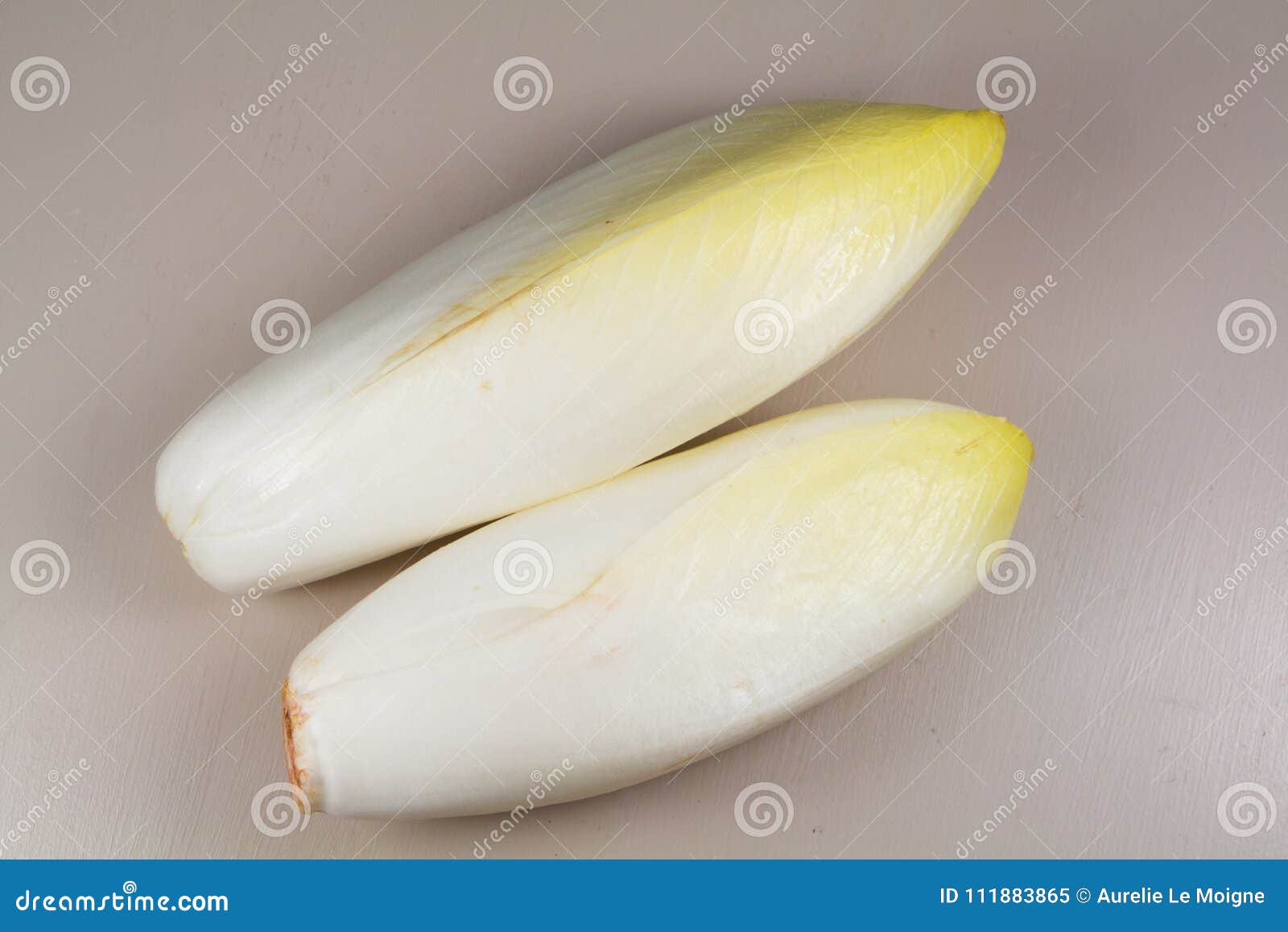Two raw endives stock image. Image of ingredient, vegetable - 111883865