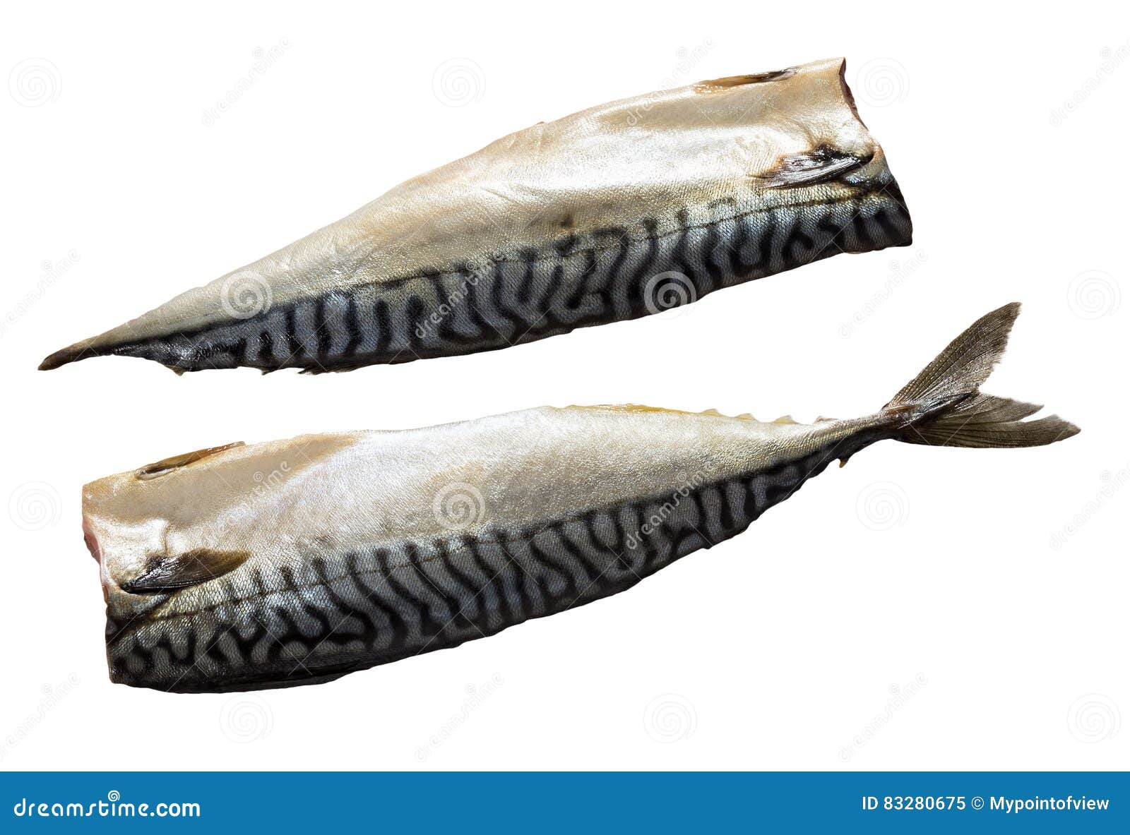 Two Raw Fillets of Mackerel Fish Isolated on White Background Stock ...