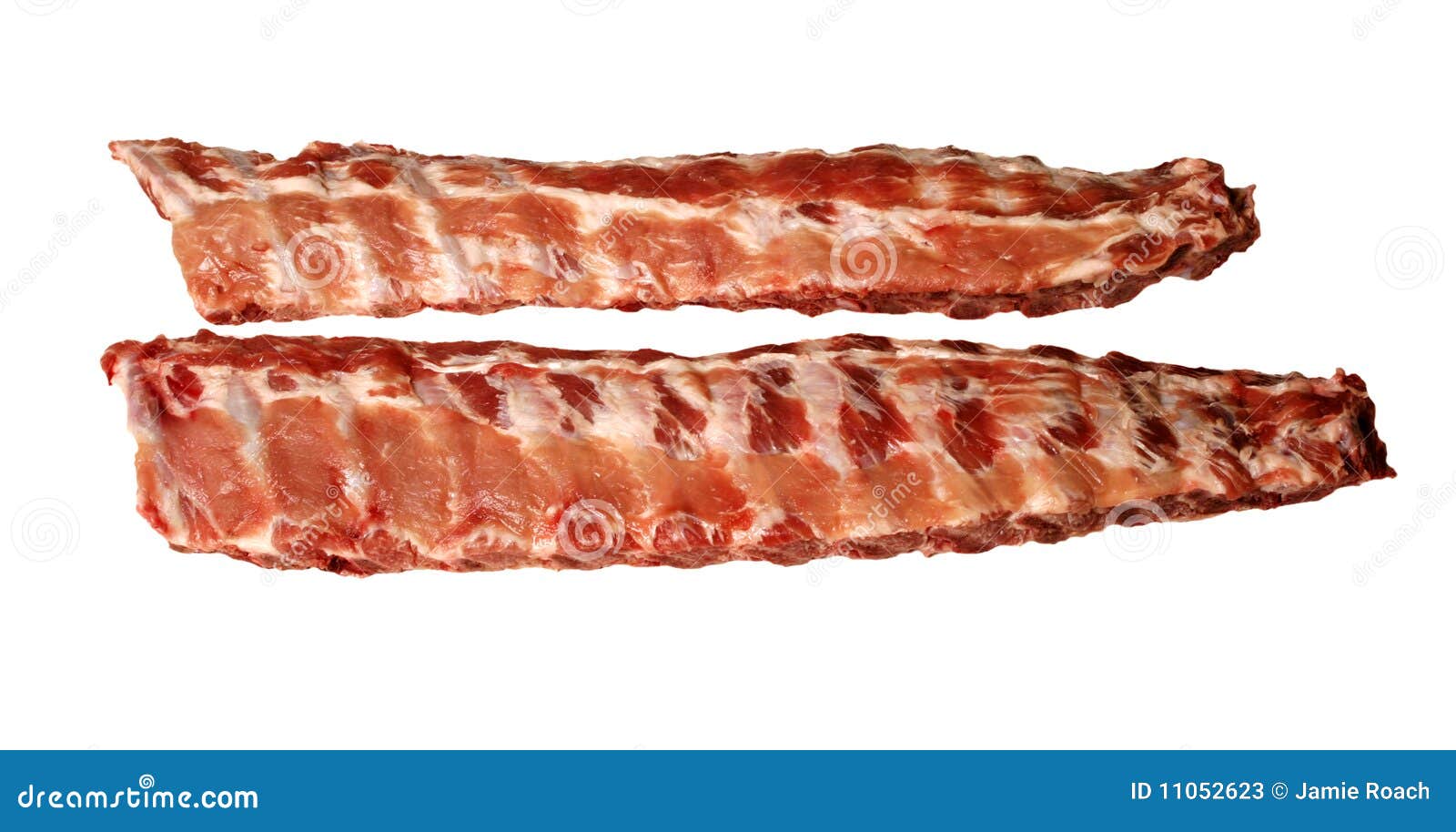 BBQ Pork Spare Ribs Royalty-Free Stock Photography | CartoonDealer.com ...
