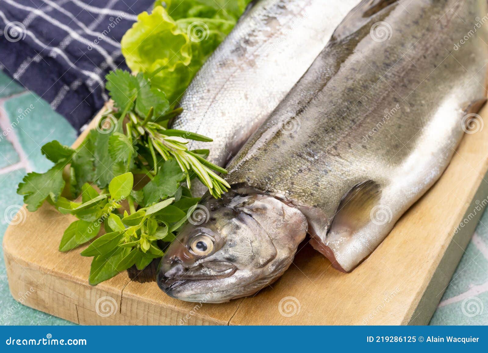 Two raw trout stock image. Image of fishing, healthy - 219286125