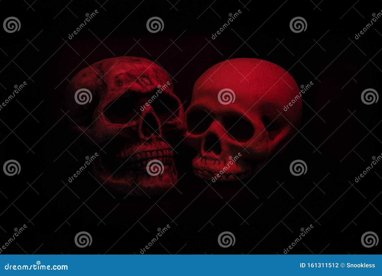 Realistic Skulls Stock Photos - Free & Royalty-Free Stock Photos from ...
