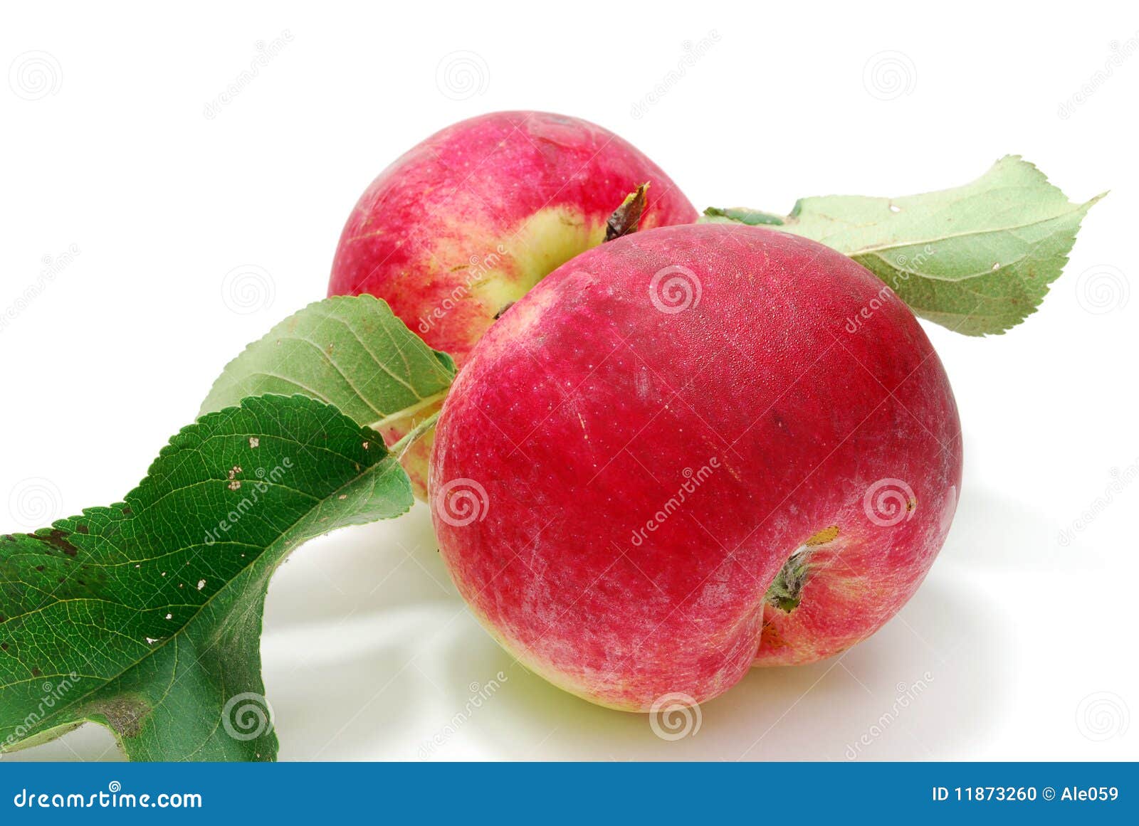 Two Red Apples stock photo. Image of peel, nutrition - 11873260
