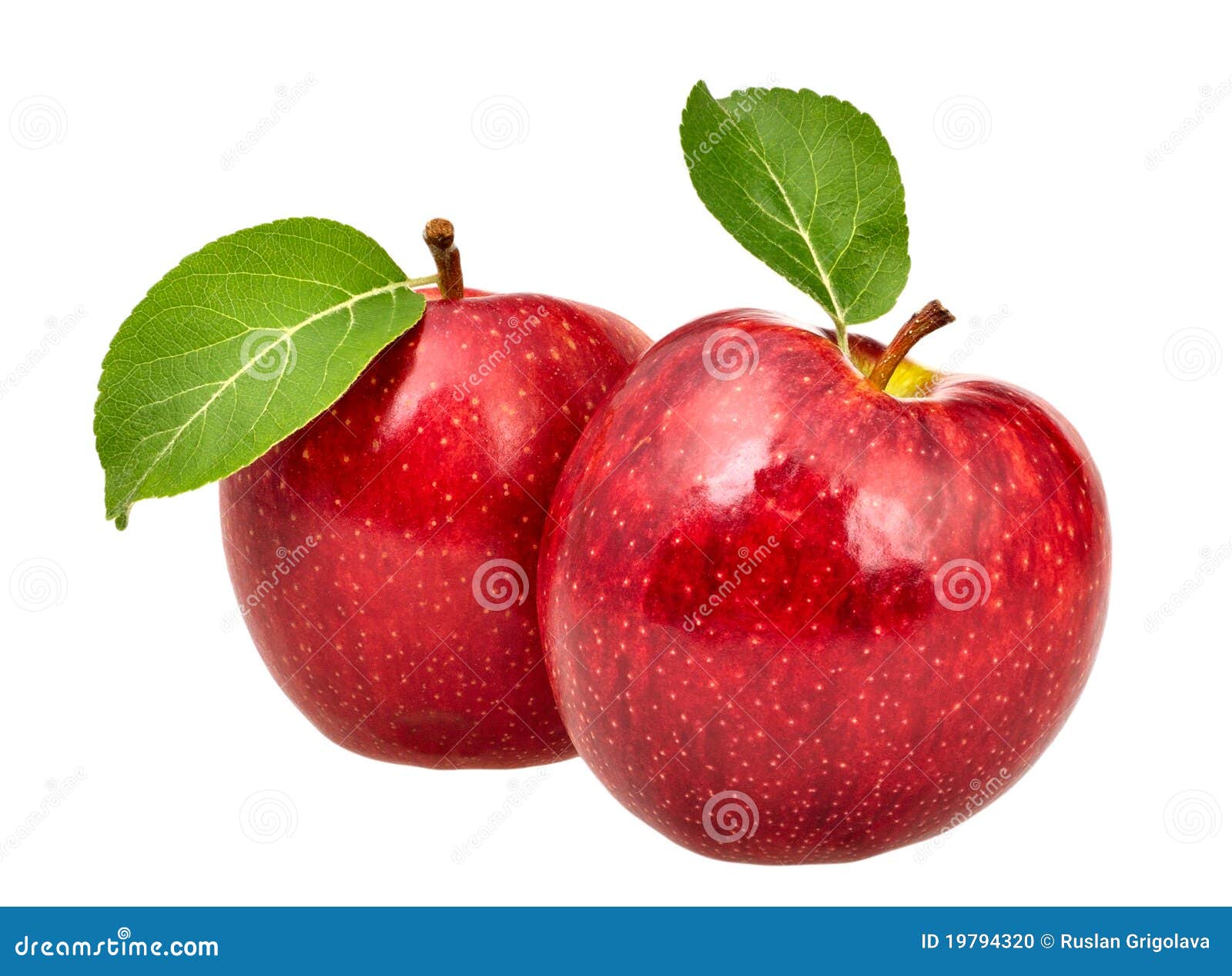 Two red apples stock photo. Image of leaf, food, white - 19794320