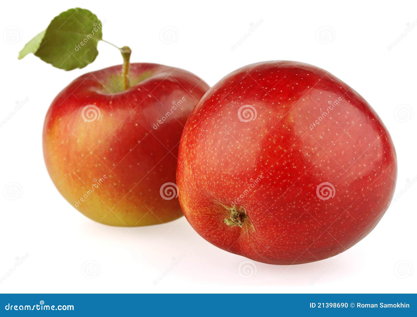 Two red apples stock photo. Image of juicy, health, agriculture - 21398690