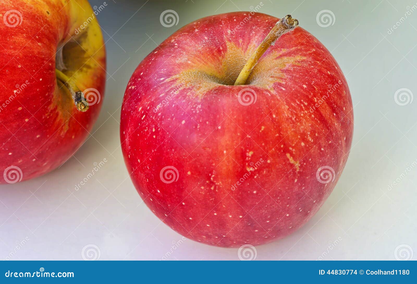 Two red apples stock photo. Image of agriculture, vegetarian - 44830774