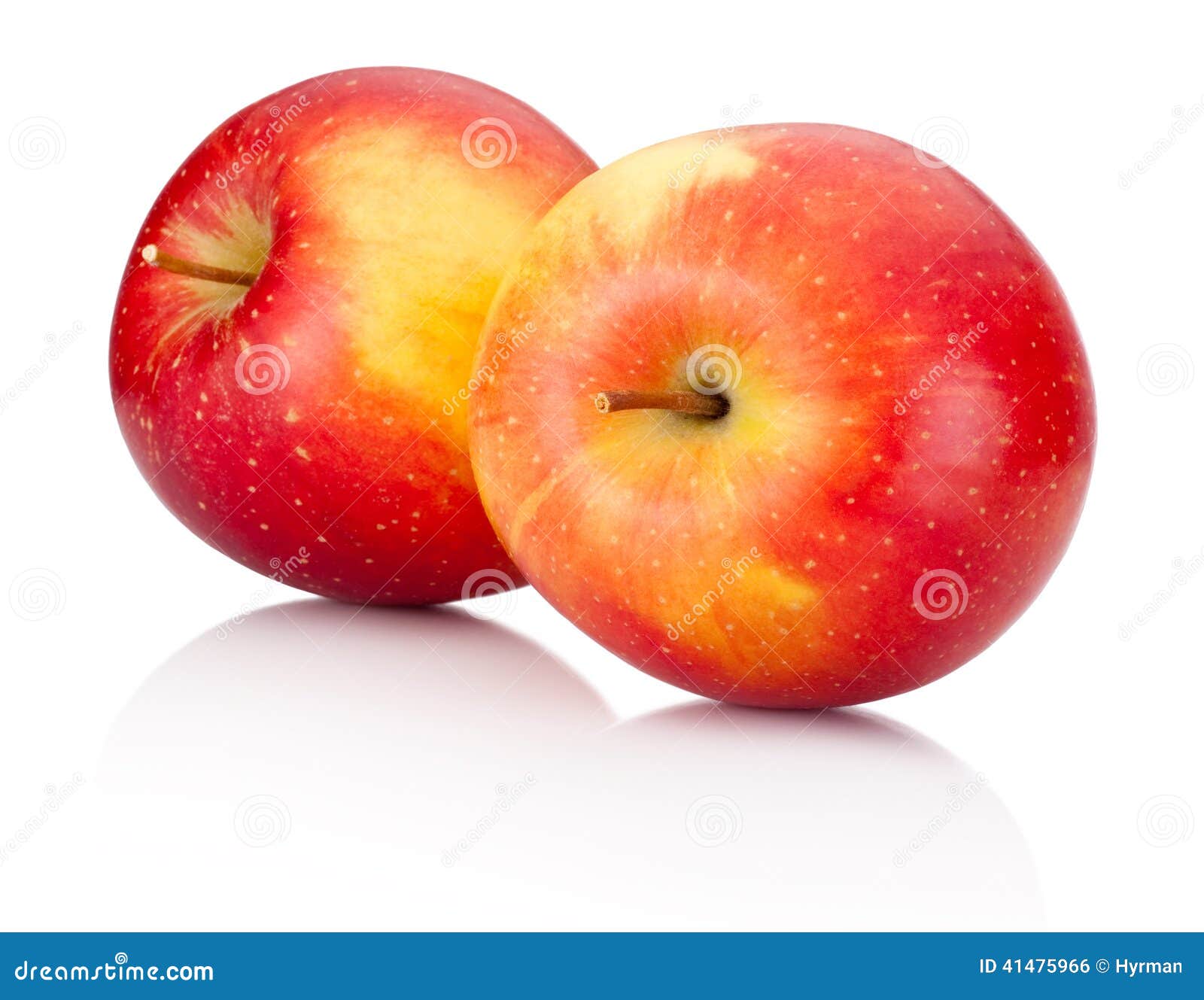 Two Red Apples Fruits on White Background Stock Photo - Image of ...