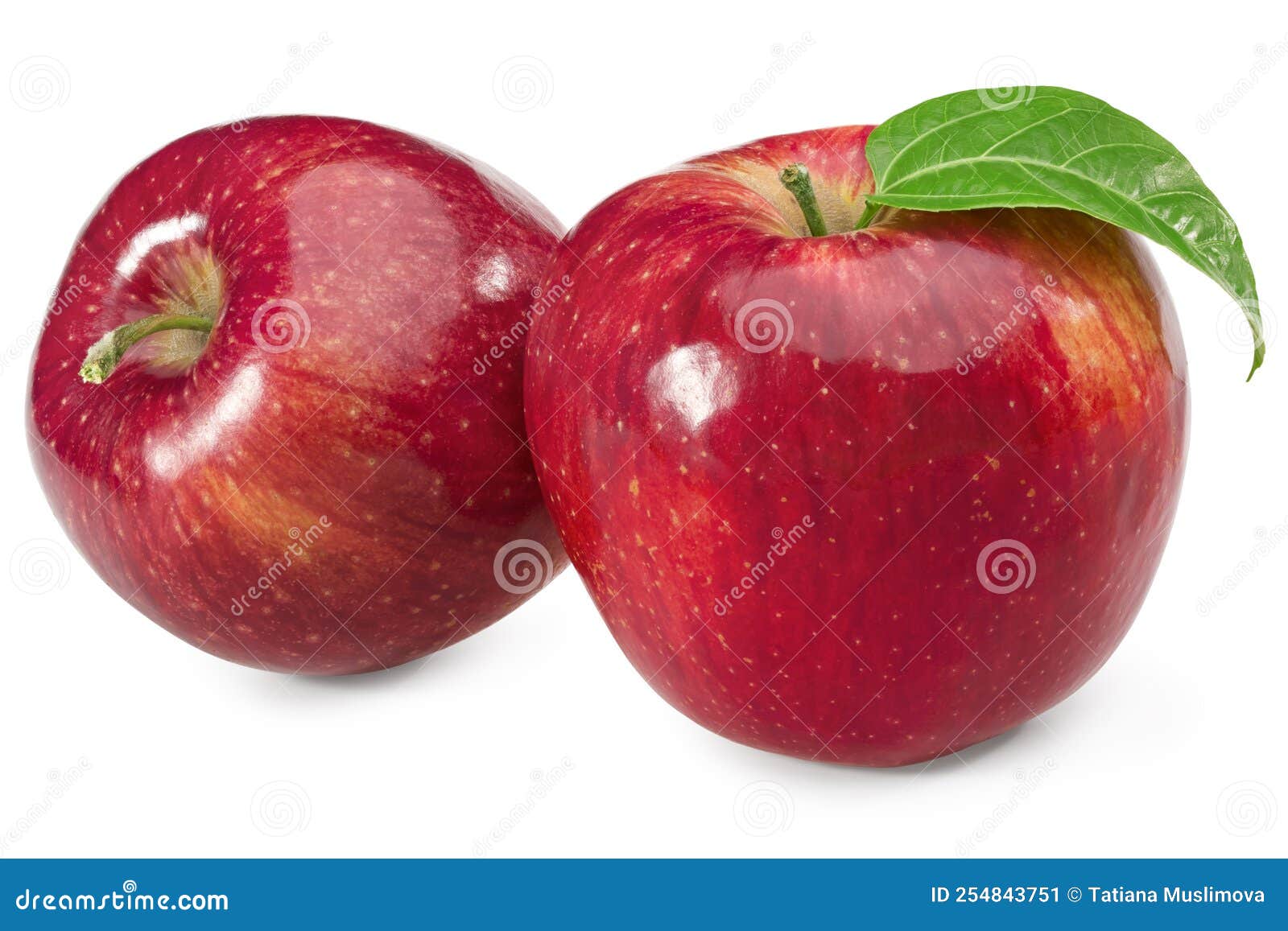 Two Red Apples with Green Leaves Isolated on White Background. Clipping ...