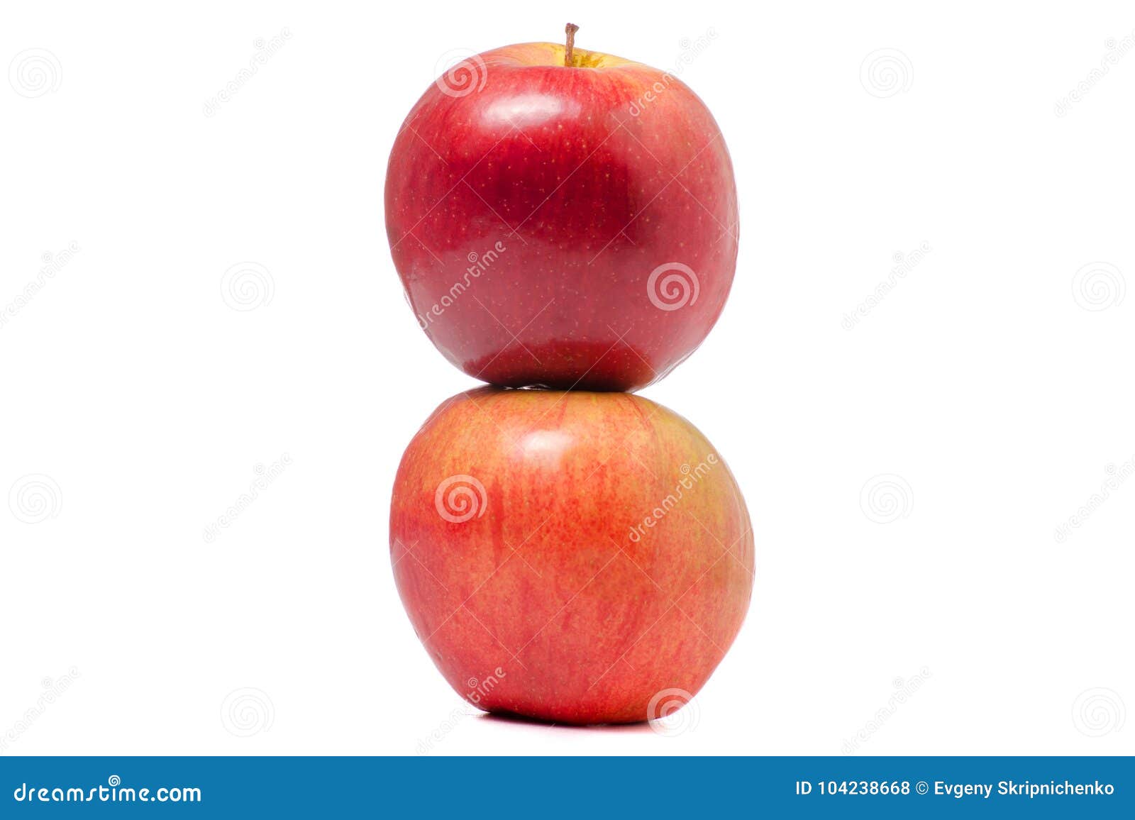 Two red apples isolated stock photo. Image of dieting - 104238668