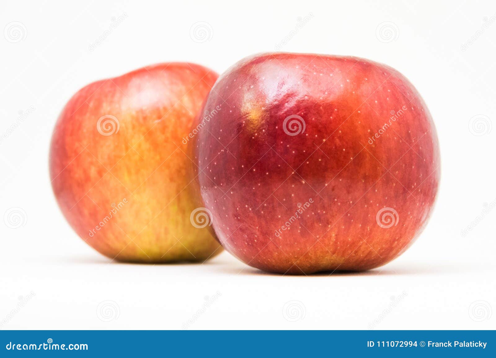 Two Apples from Front Isolated on White Stock Photo - Image of food ...
