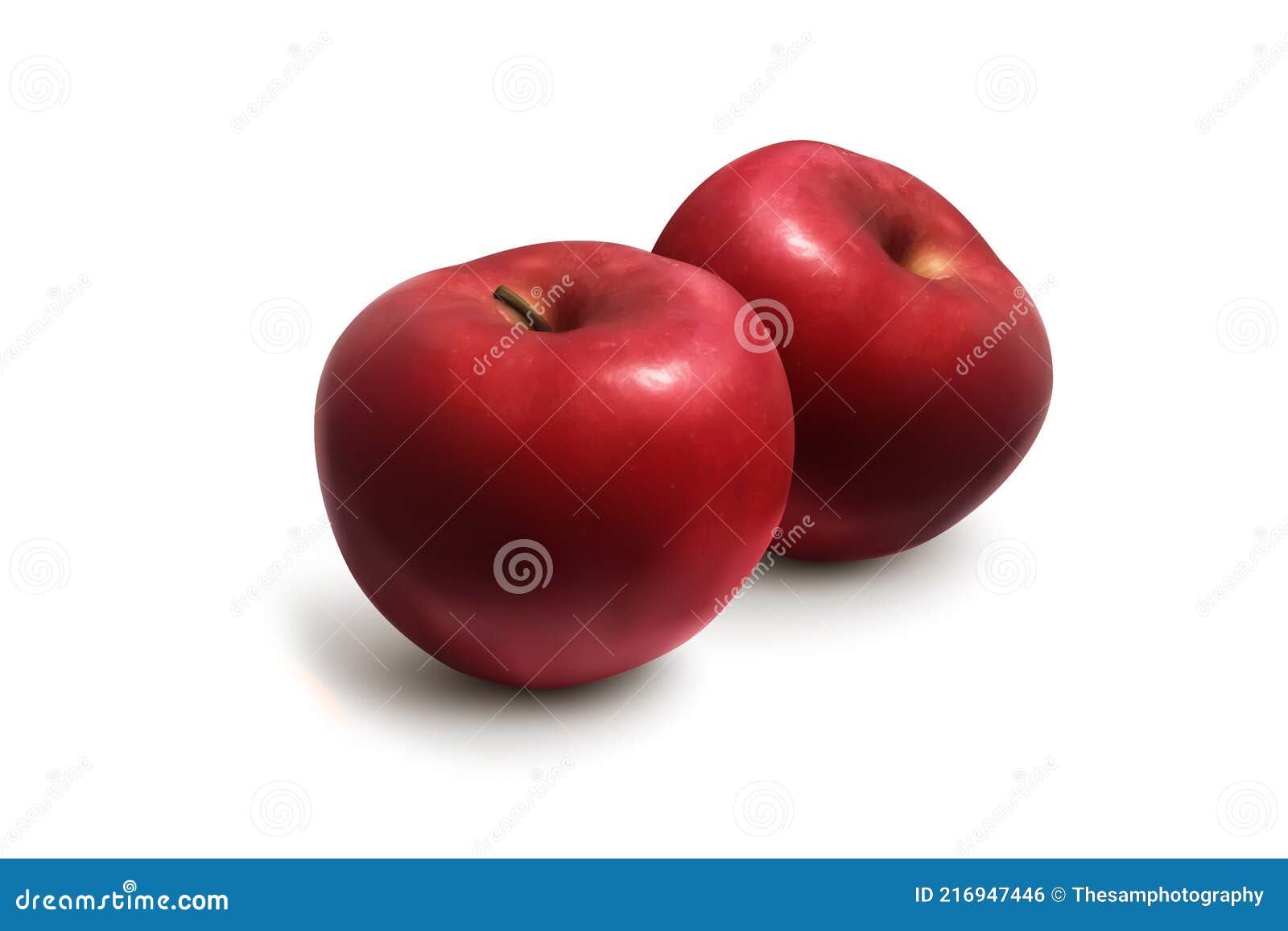 Two Red Apples on White Background Stock Illustration - Illustration of ...
