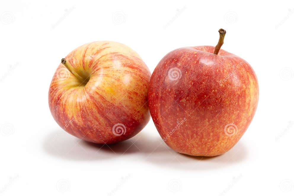 Two Red Apples on White Background Stock Image - Image of crop ...