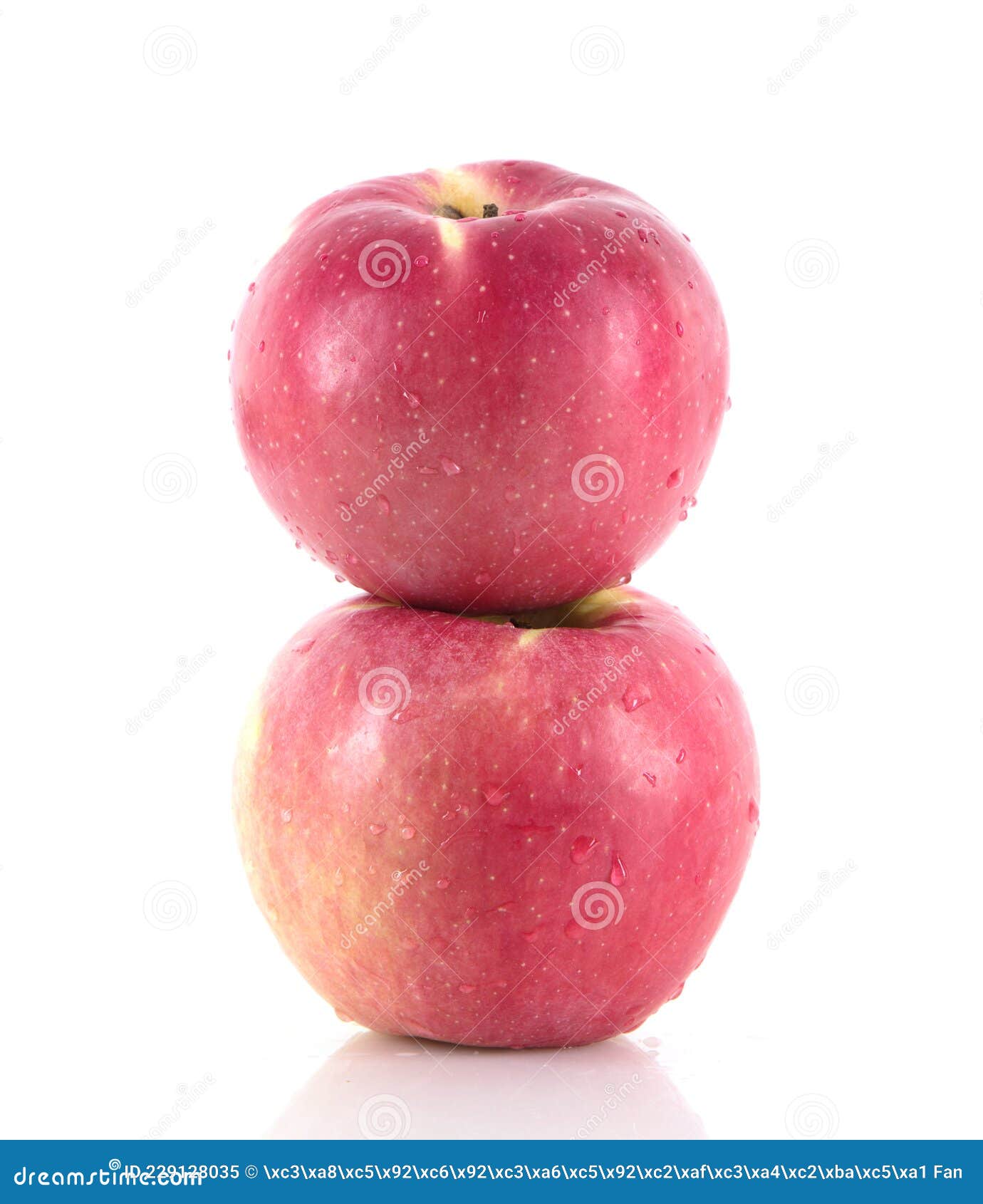 Two Red Apples on White Background Stock Image - Image of fresh, apple ...