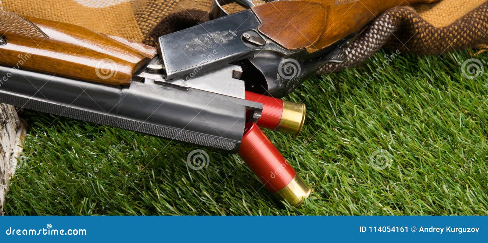 Two Red Bullets for a Gun, Fell on a Green Lawn Stock Image - Image of ...
