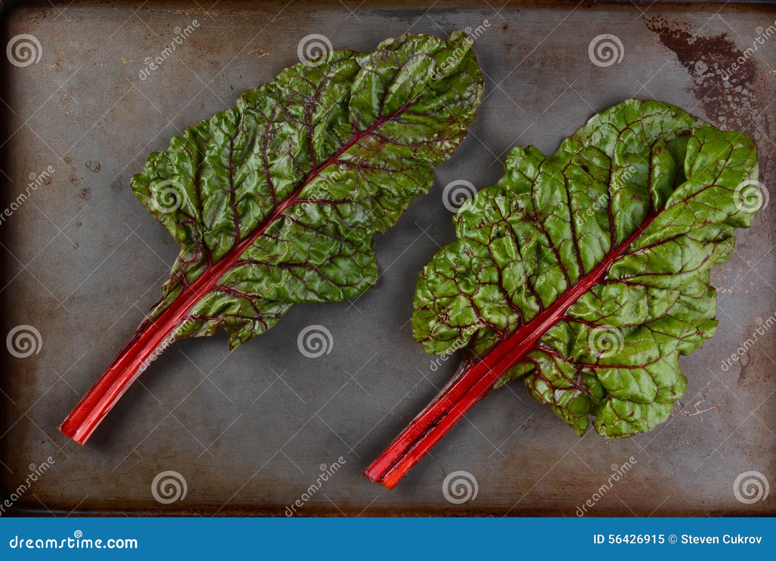 Two Red Chard Stalks stock image. Image of life, stalks - 56426915