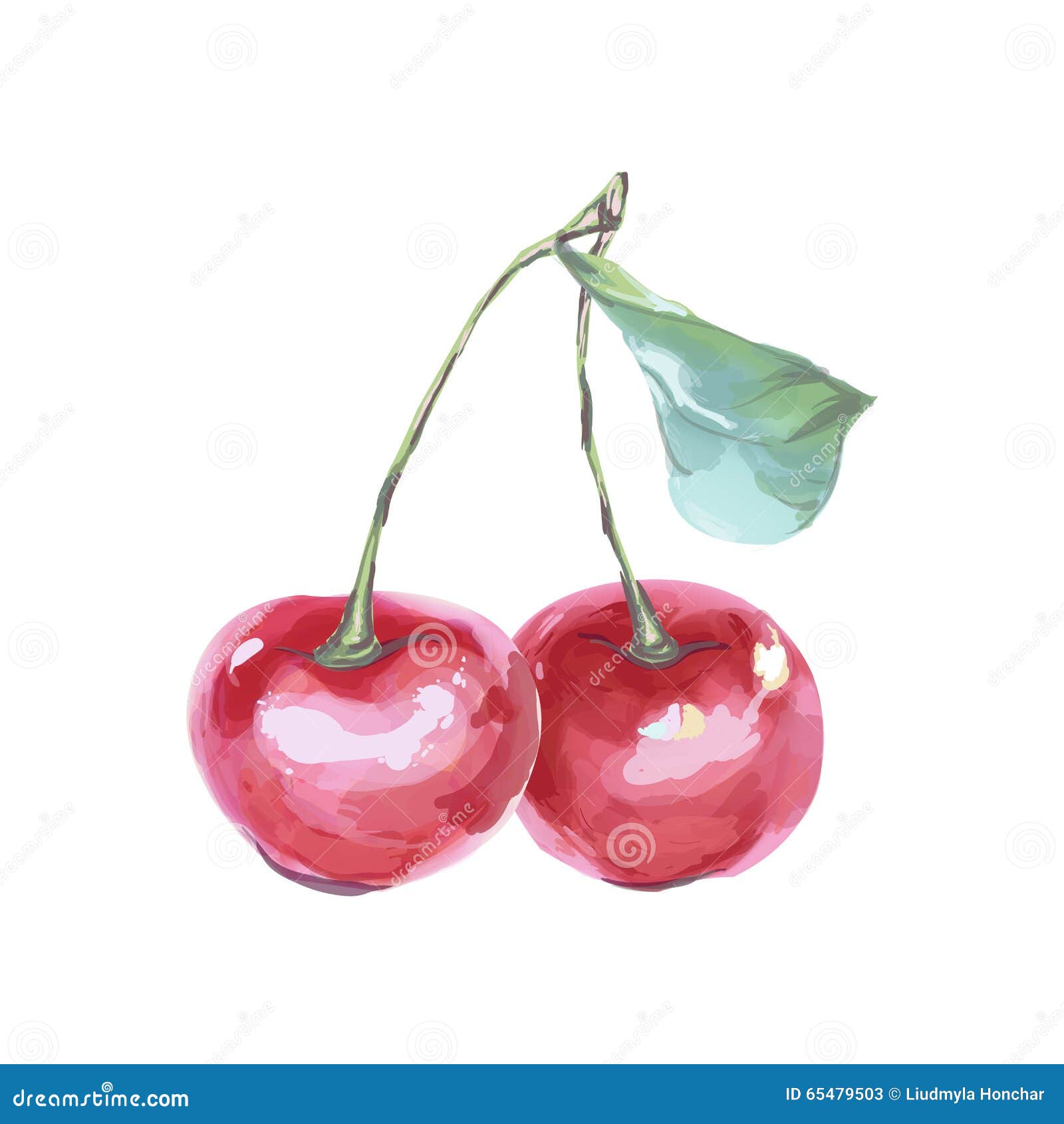 Two red cherries. stock vector. Illustration of natural - 65479503