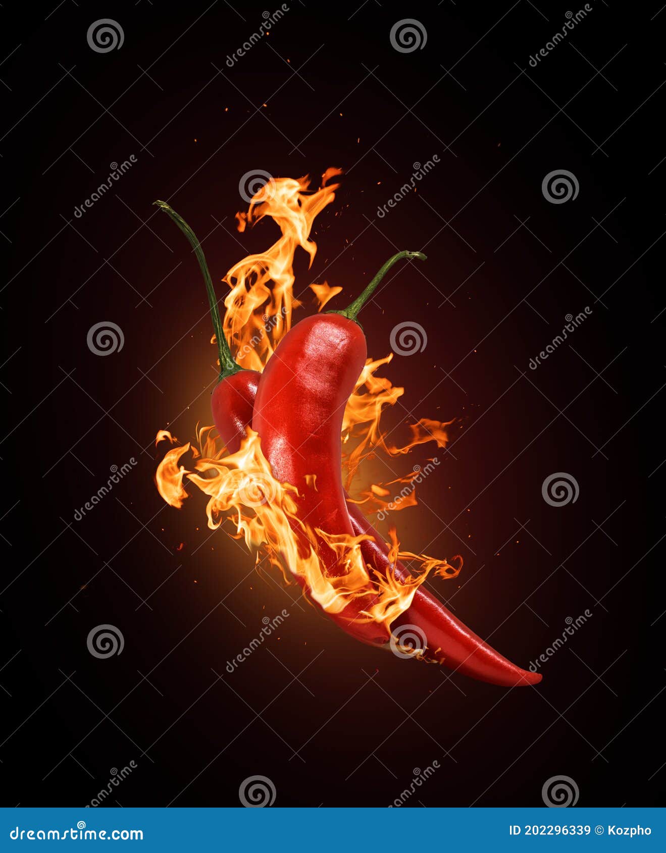 Two Red Chili Peppers in a Burning Flame Close-up on a Black Background ...