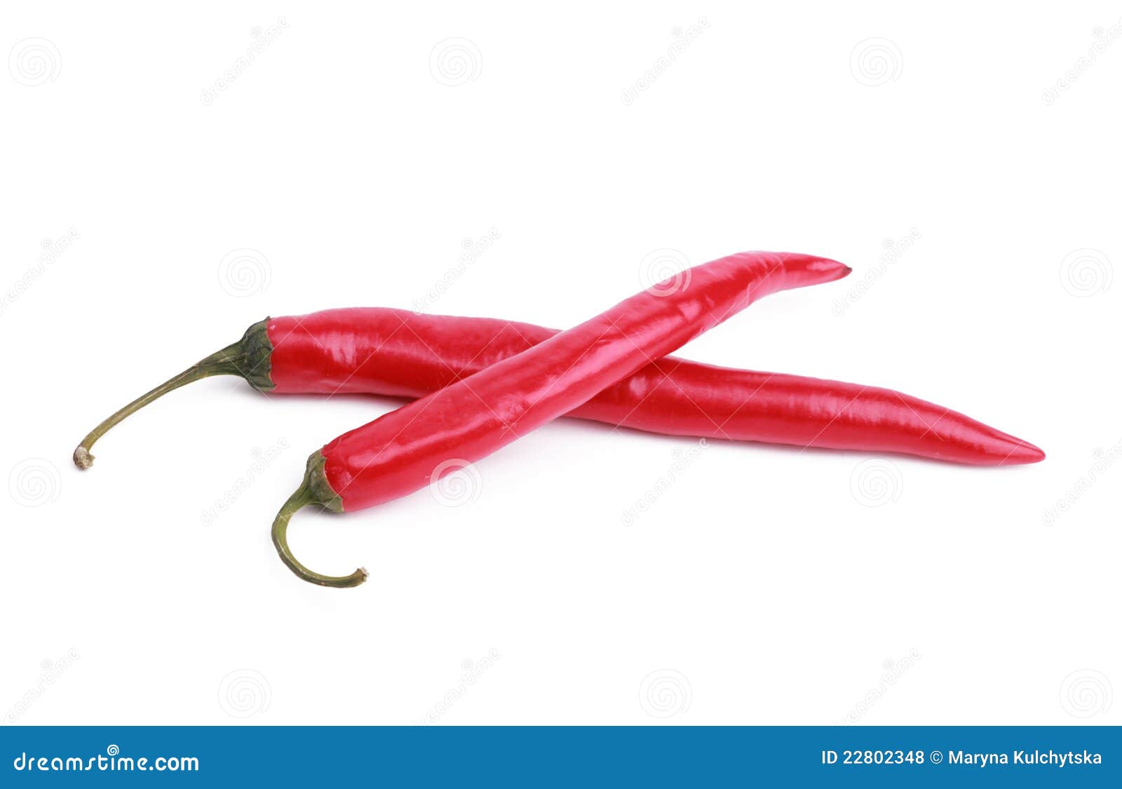 Two red chilli peppers stock photo. Image of length, white - 22802348